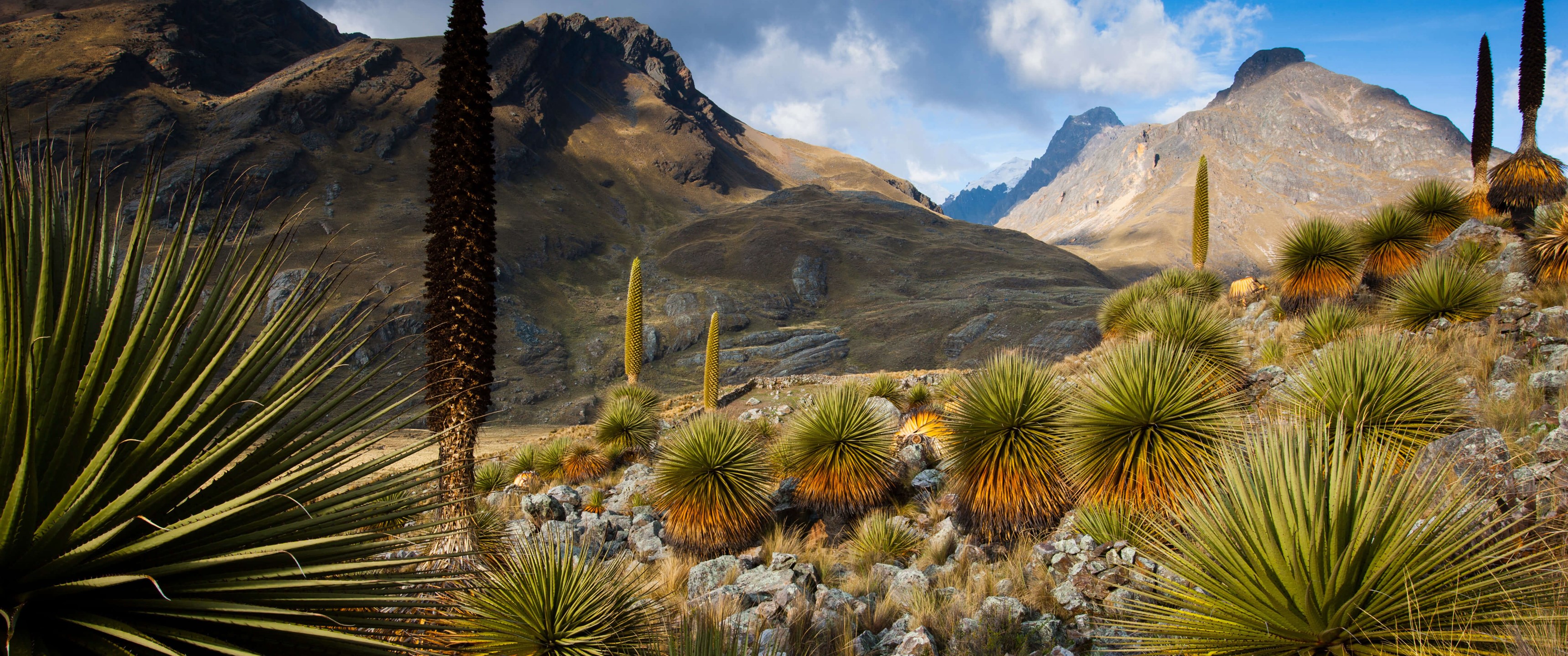 Mountains fit for a queen by Microsoft | Wallpapers | WallpaperHub