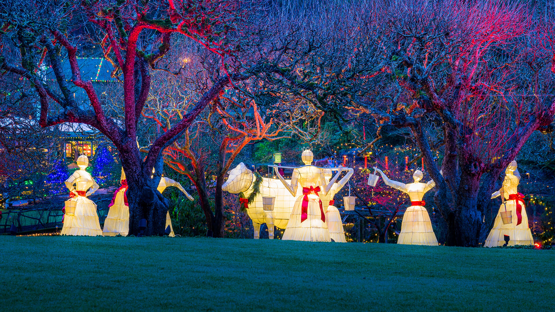 Festive foliage in the garden by Microsoft | Wallpapers | WallpaperHub