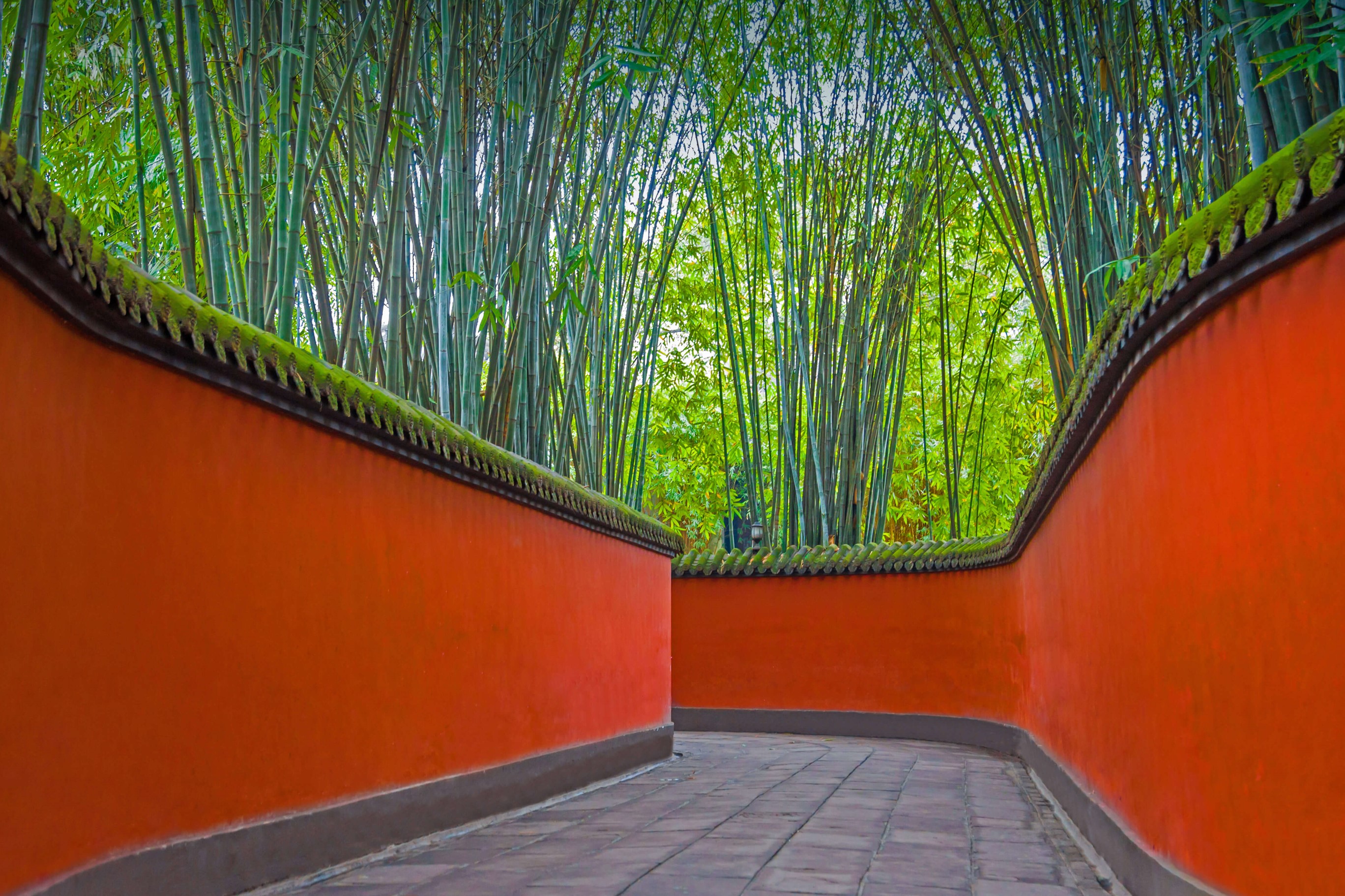A path into history by Microsoft | Wallpapers | WallpaperHub