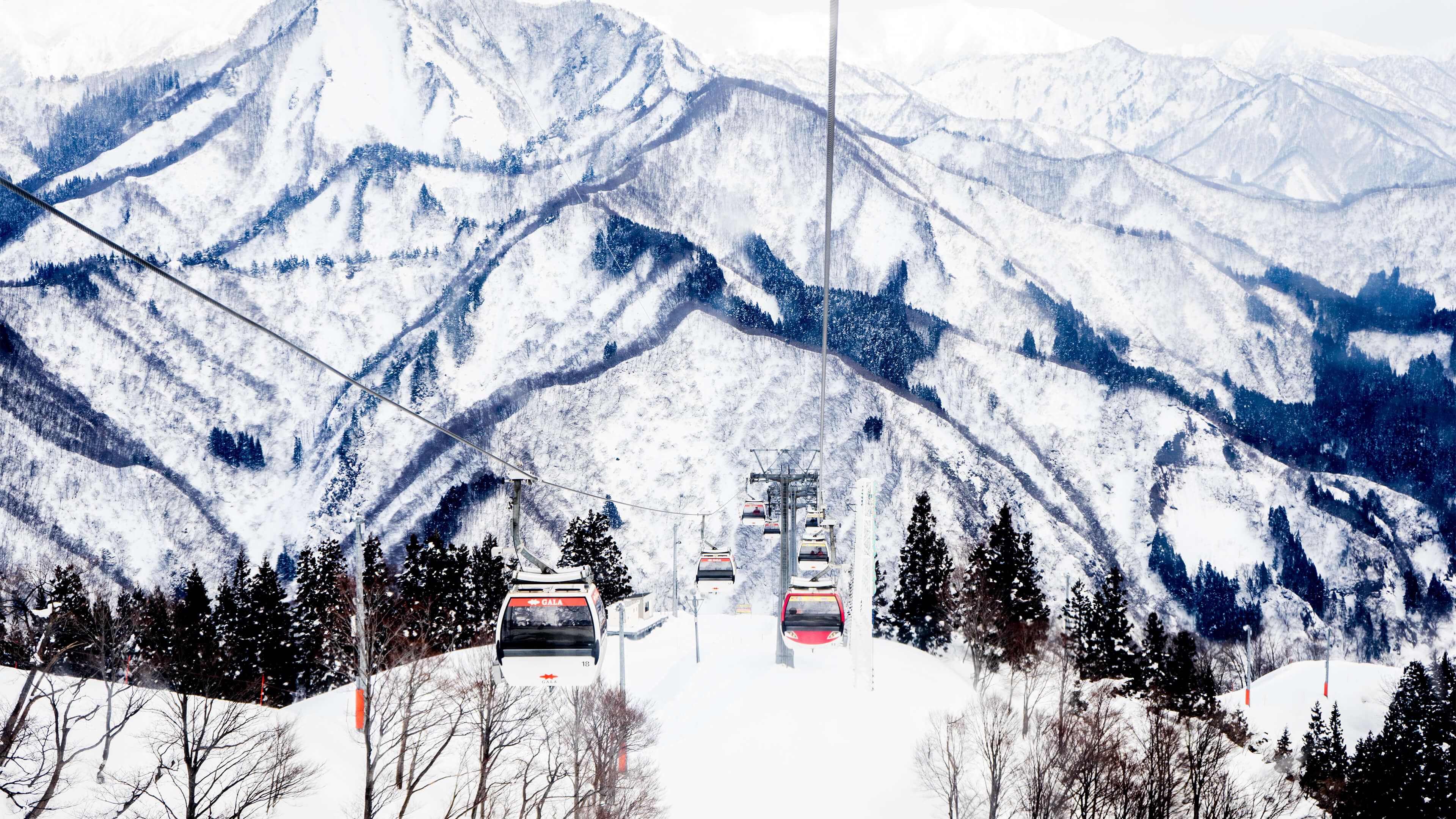 今日はスキーの日 by Microsoft | Wallpapers | WallpaperHub