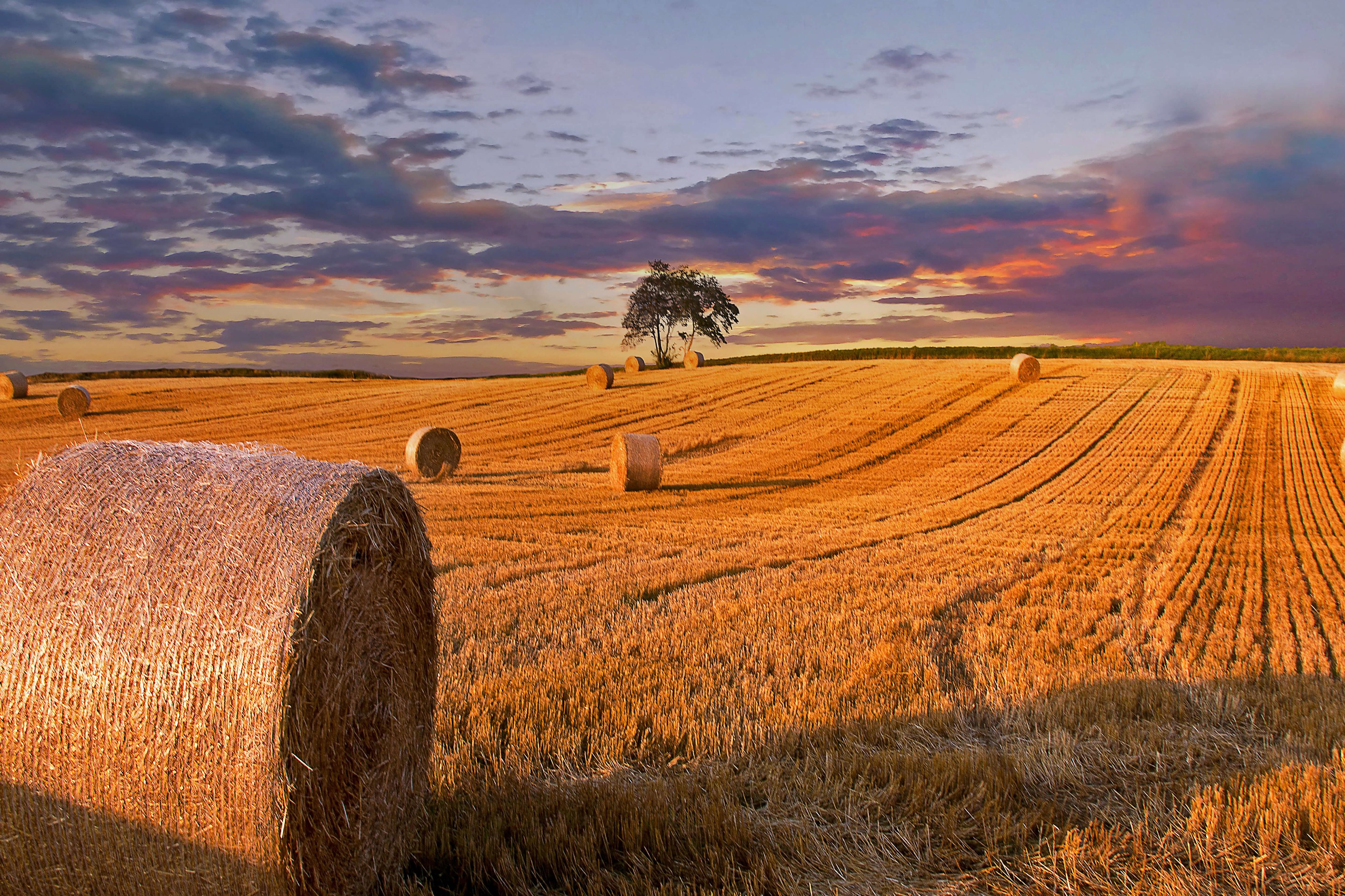 Hay, what's up? by Microsoft | Wallpapers | WallpaperHub