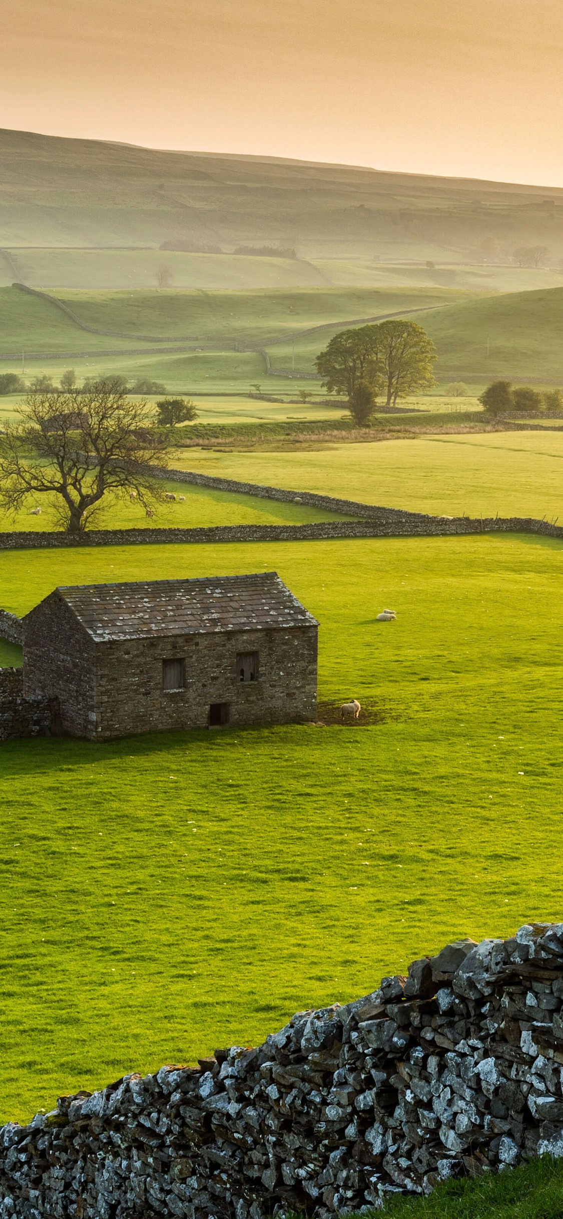 緑の牧場 by Microsoft | Wallpapers | WallpaperHub