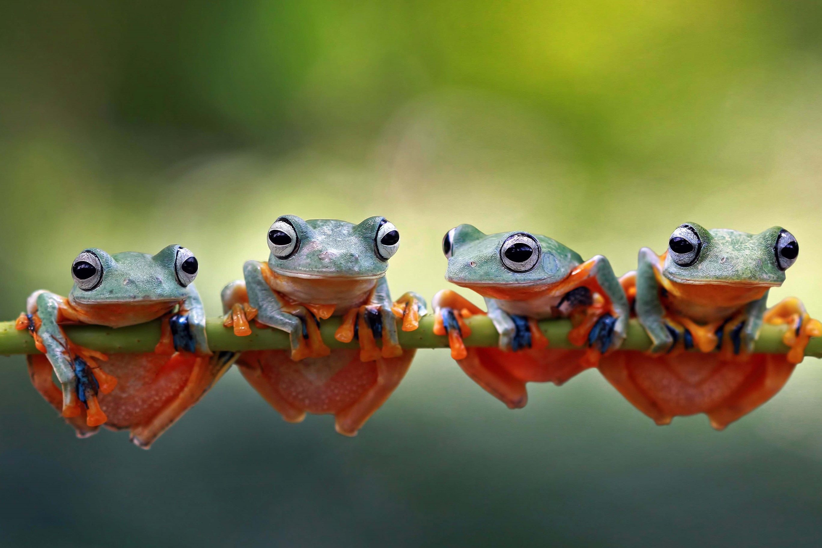 Perchés ! by Microsoft | Wallpapers | WallpaperHub