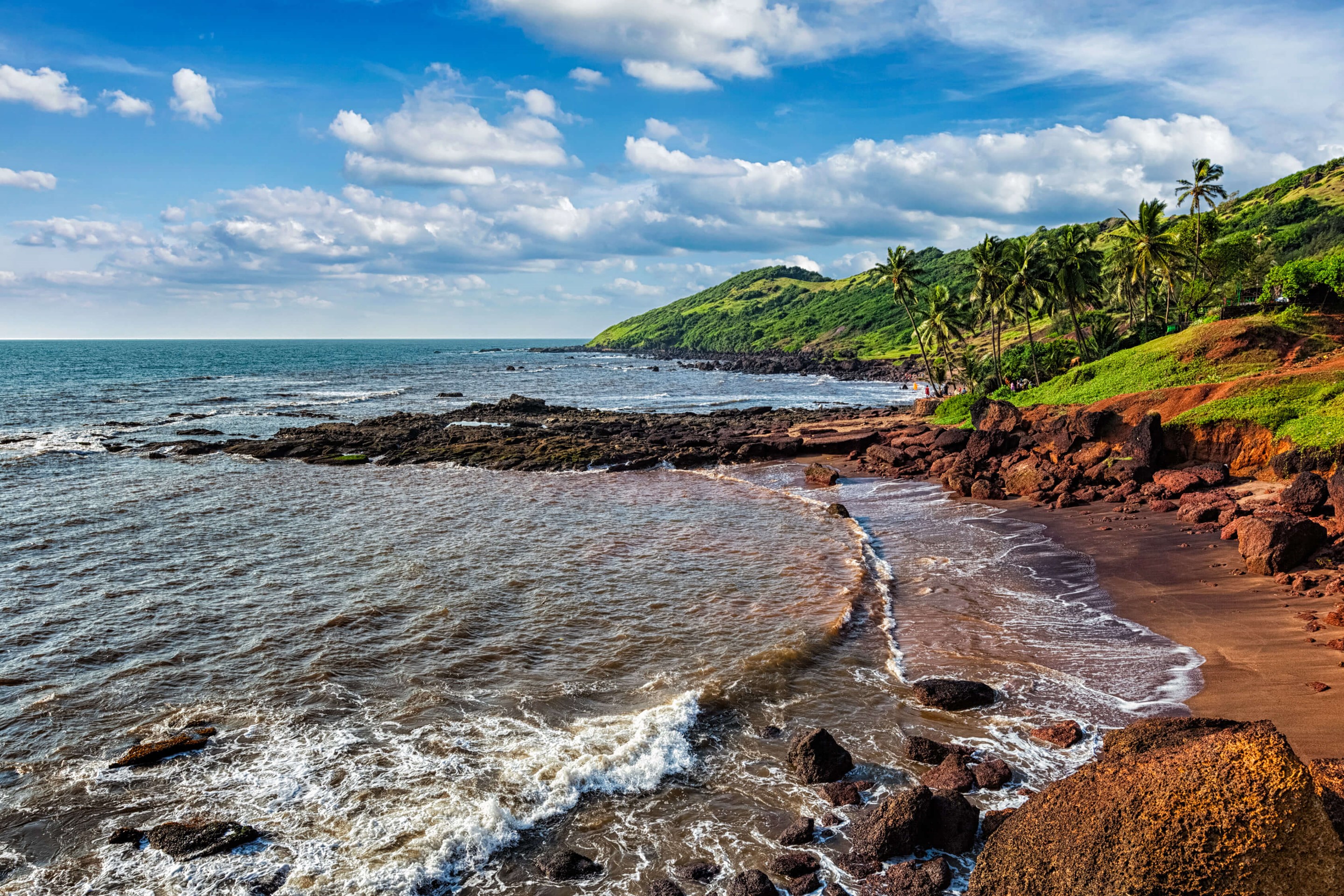 Celebrating Goa Liberation Day! by Microsoft | Wallpapers | WallpaperHub