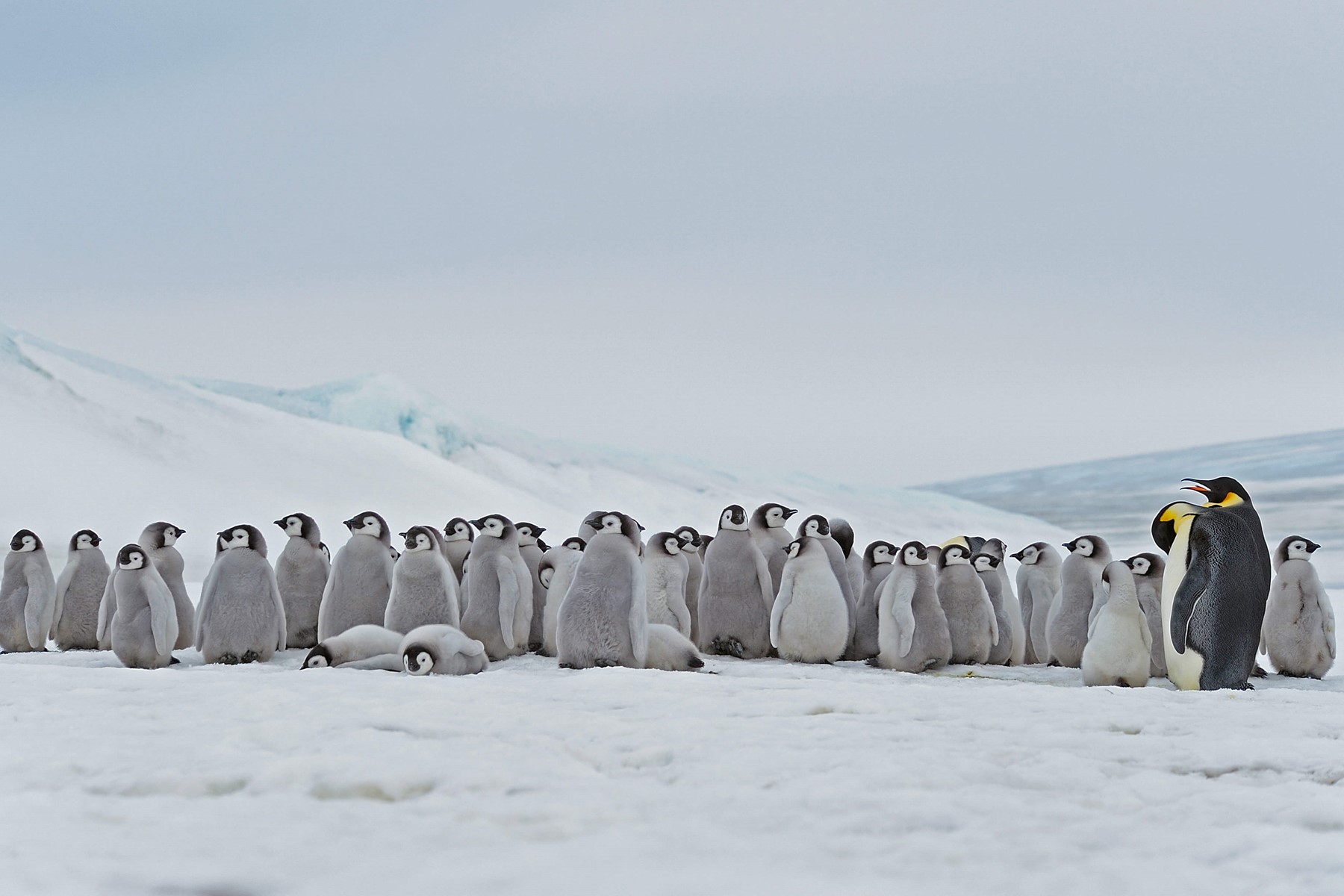 Hey, you two in the front! by Microsoft | Wallpapers | WallpaperHub