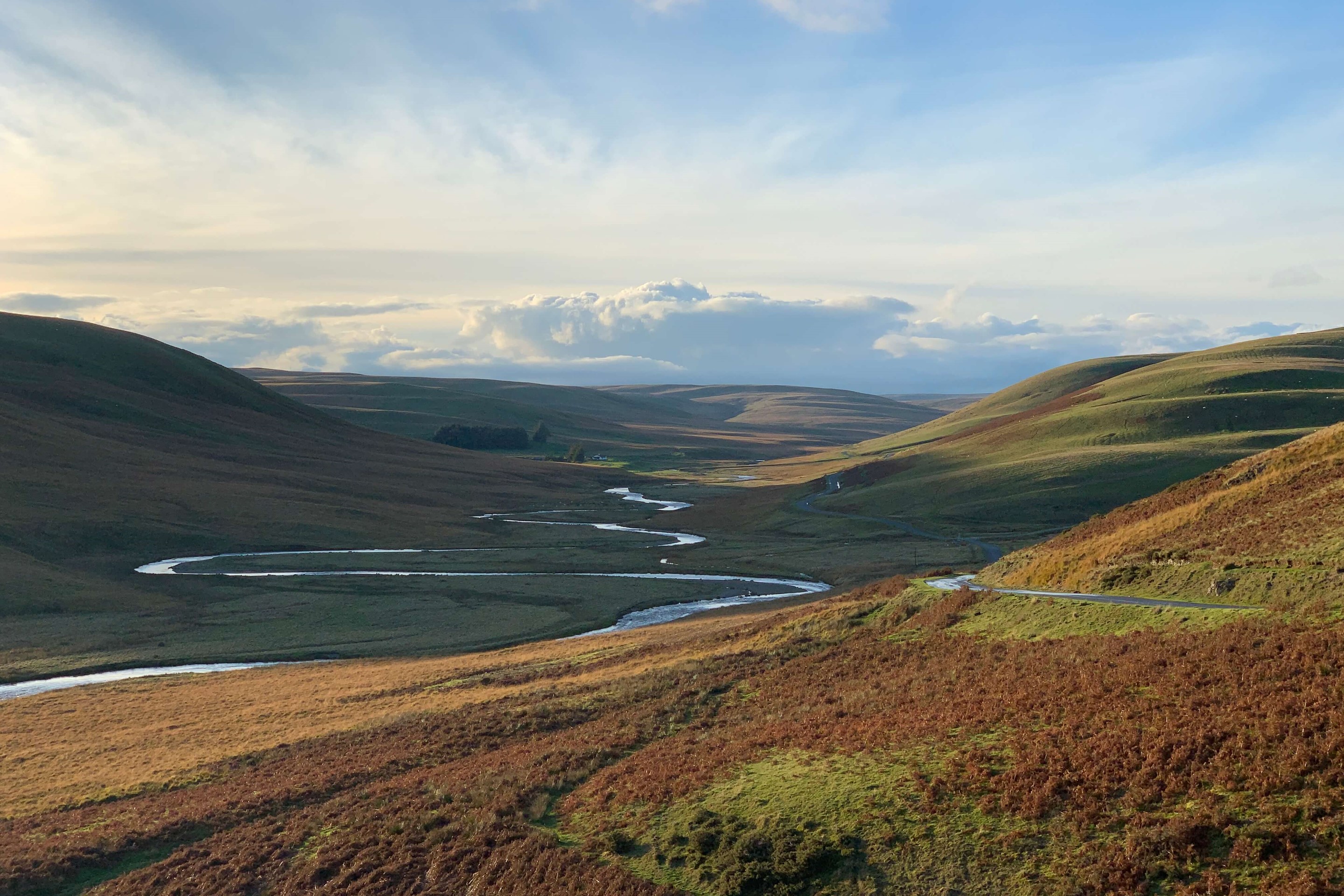 Meander by Michael West | Wallpapers | WallpaperHub