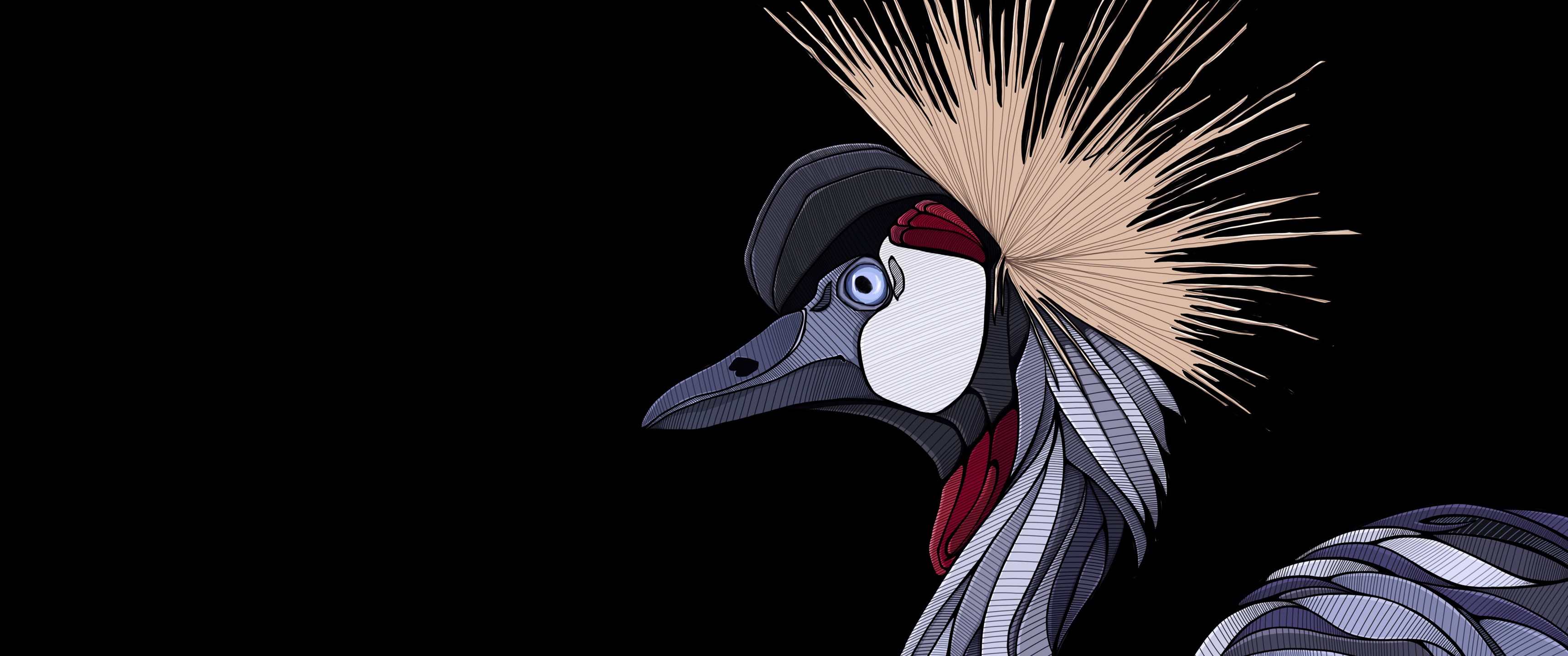 Crane by Amit Shaiwale | Wallpapers | WallpaperHub