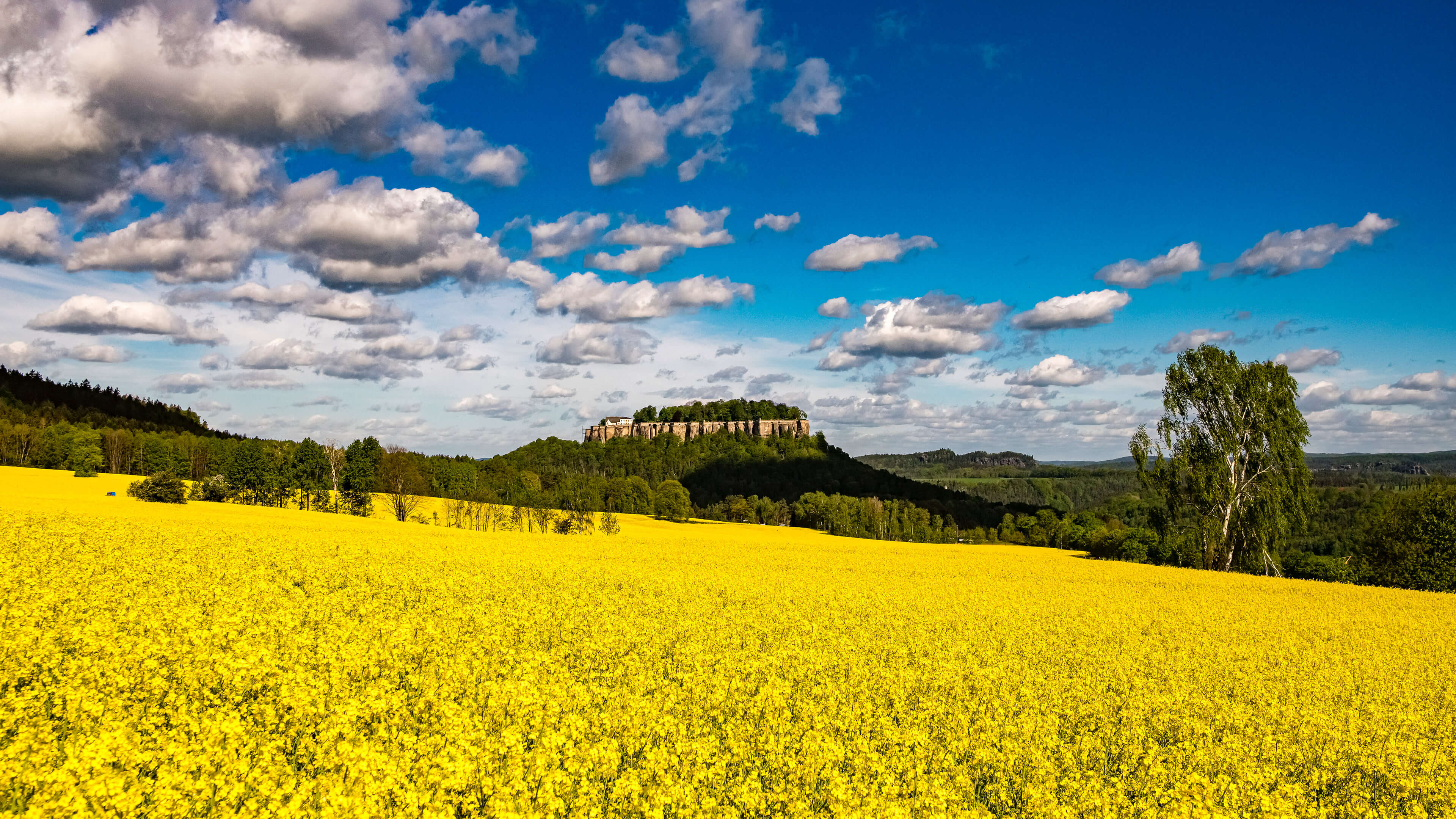 WallpaperHub | Free wallpapers for your PC, phone and tablet