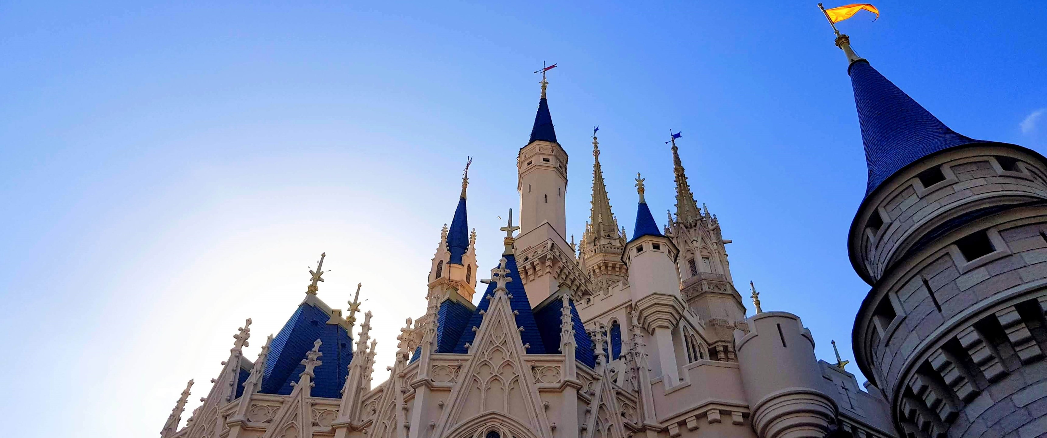 Walt Disney Castle by Michael Gillett | Wallpapers | WallpaperHub