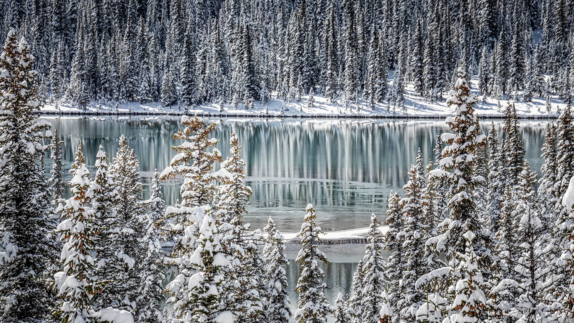 The magic of winter by Microsoft | Wallpapers | WallpaperHub