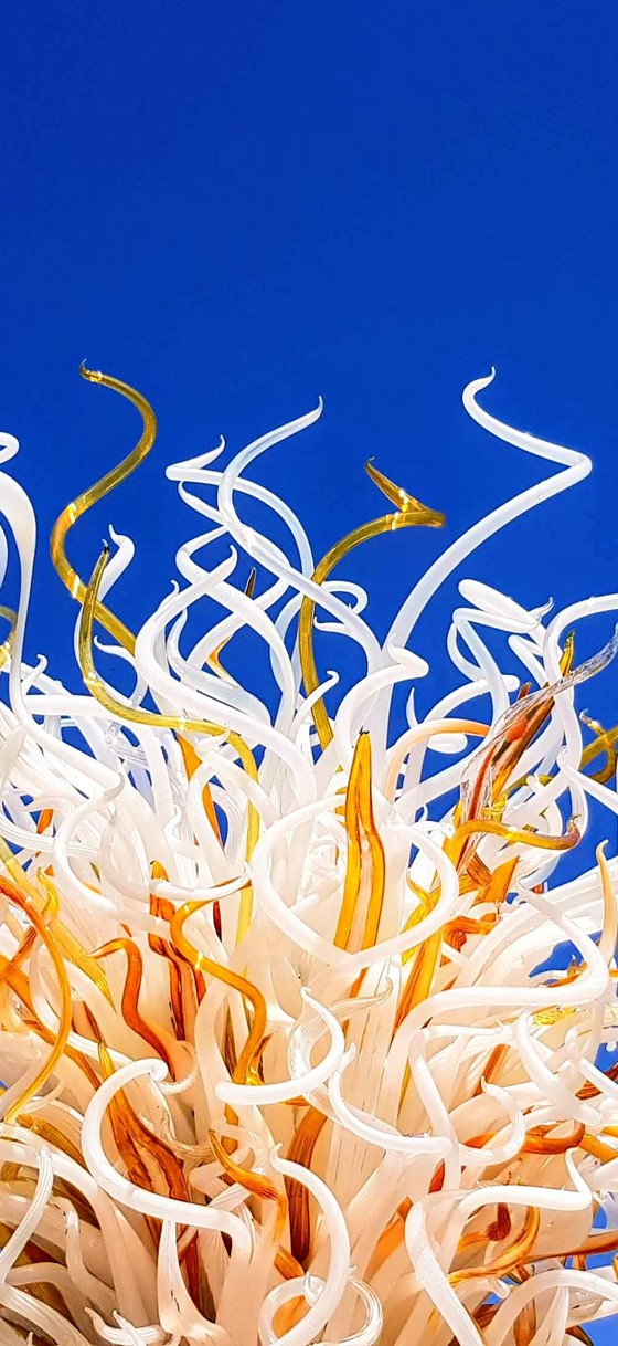 Sqiggles by Michael Gillett | Wallpapers | WallpaperHub