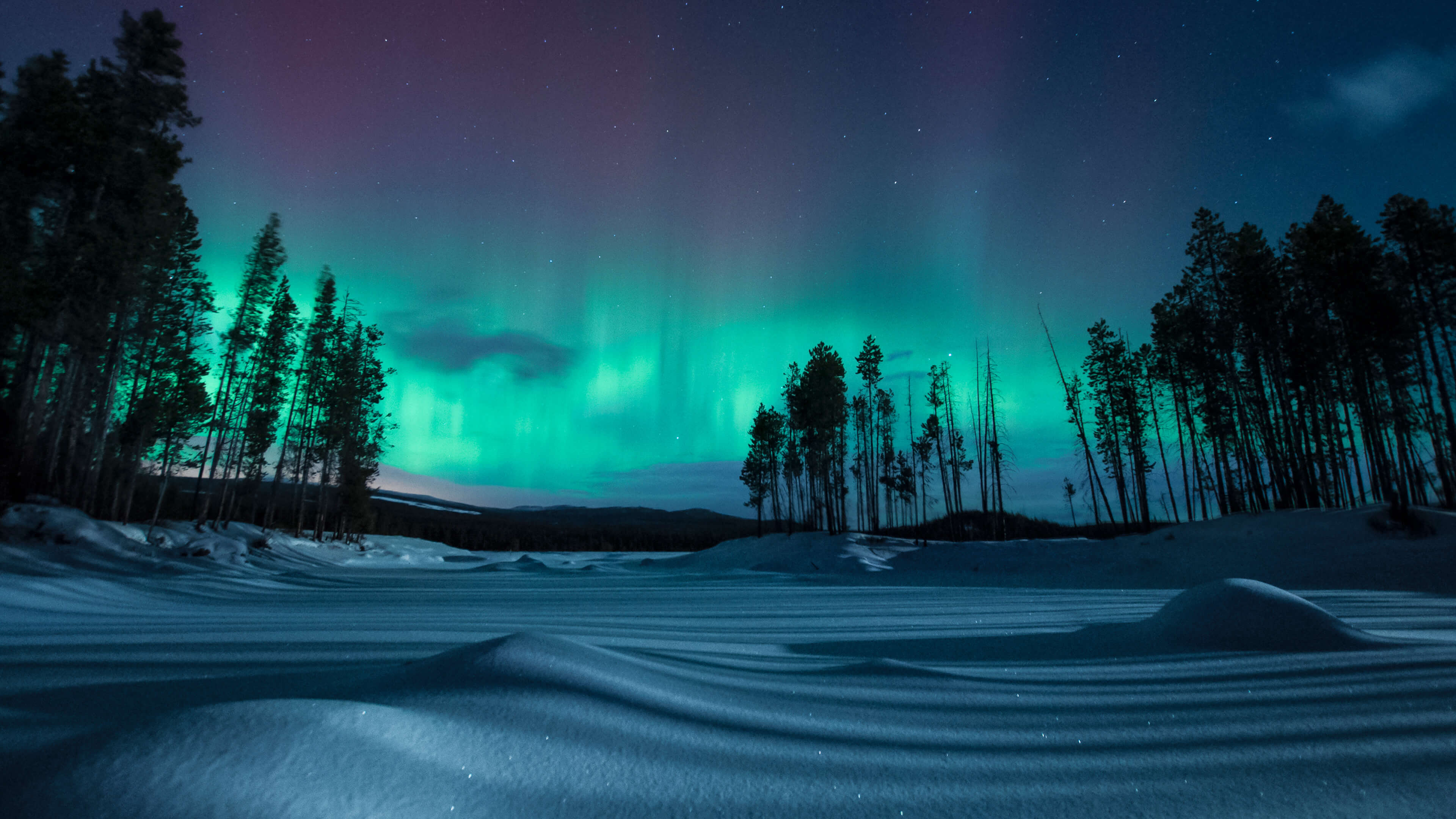 Chasing the Northern Lights by Microsoft | Wallpapers | WallpaperHub