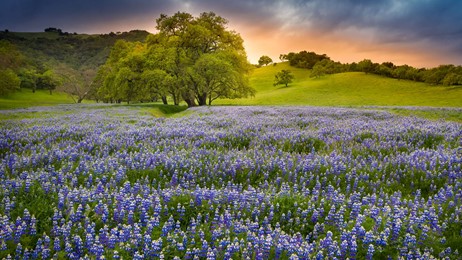 WallpaperHub | Free wallpapers for your PC, phone and tablet