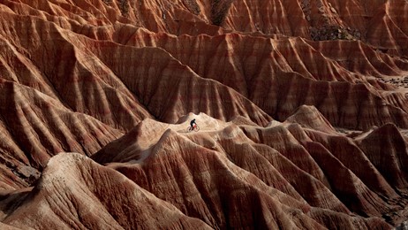 WallpaperHub | Free wallpapers for your PC, phone and tablet