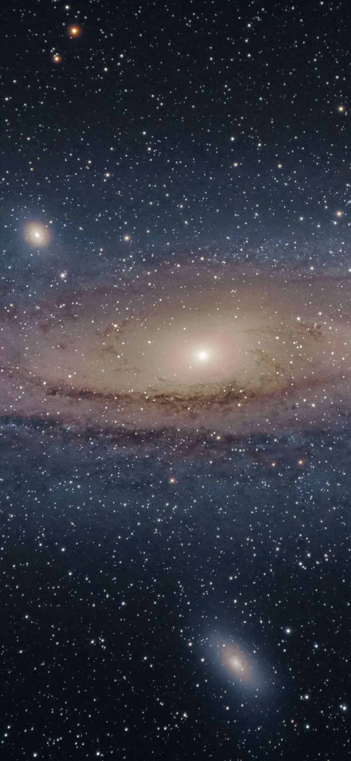 Andromeda by Michael Gillett | Wallpapers | WallpaperHub