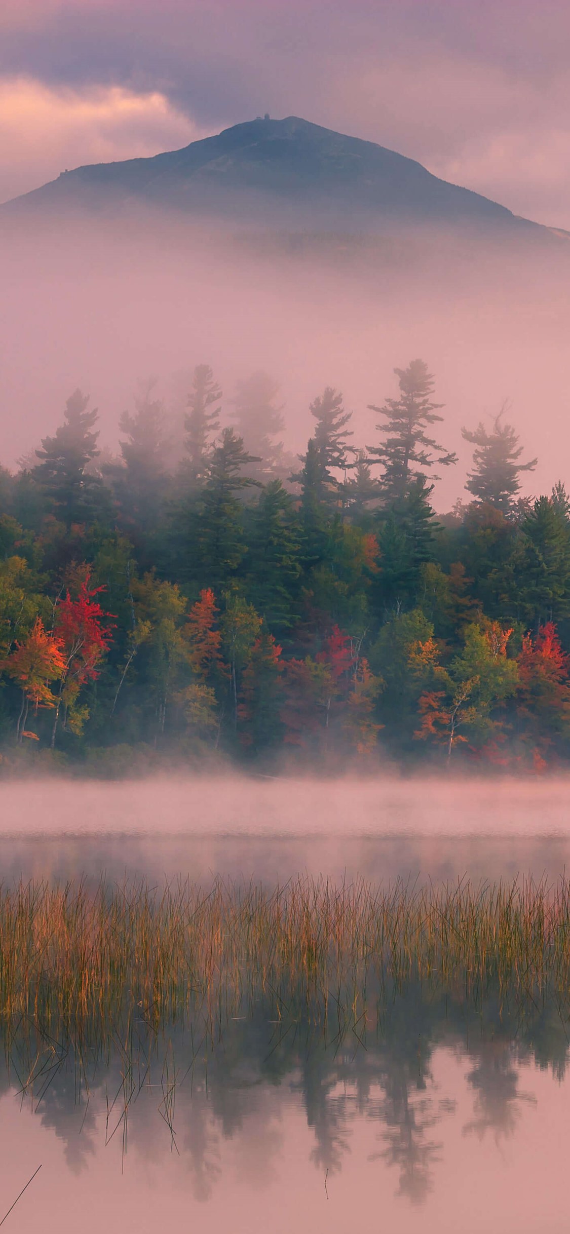 Upstate autumn by Microsoft | Wallpapers | WallpaperHub