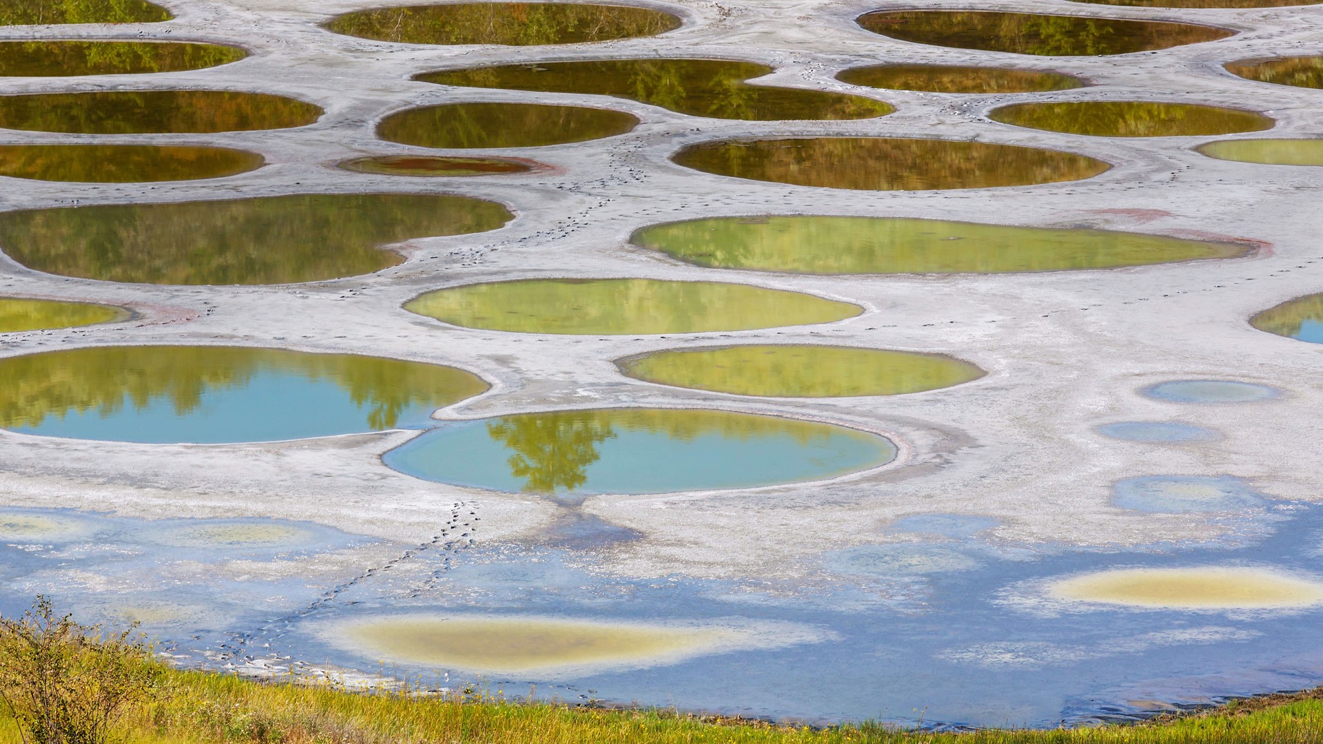Spotted Lake emerges by Microsoft | Wallpapers | WallpaperHub