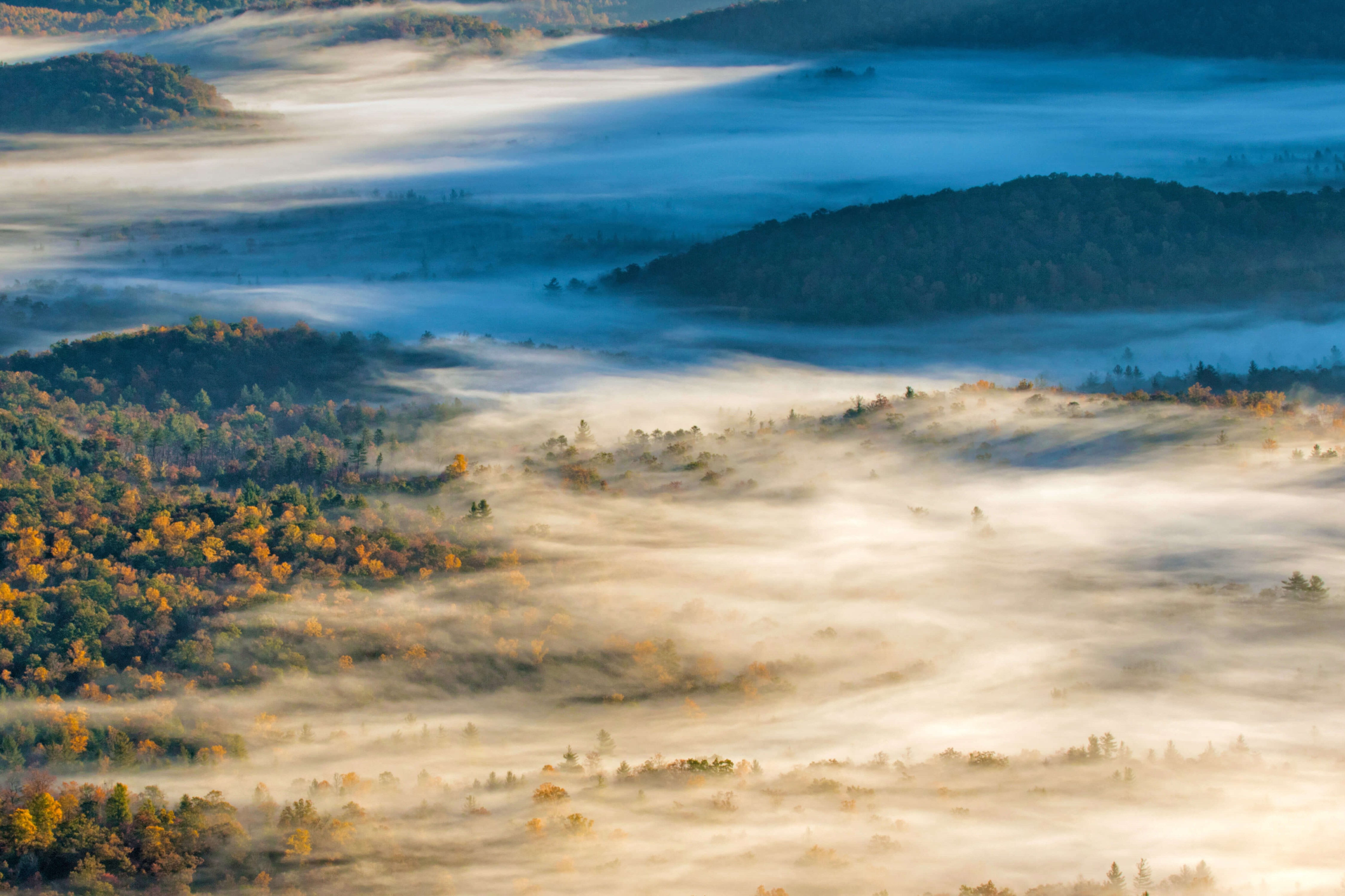 Fog above the forest by Microsoft | Wallpapers | WallpaperHub