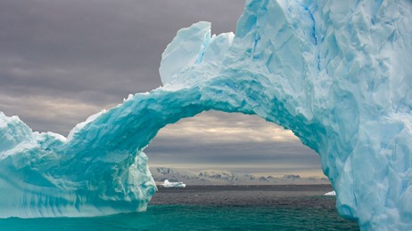 WallpaperHub | Free wallpapers for your PC, phone and tablet
