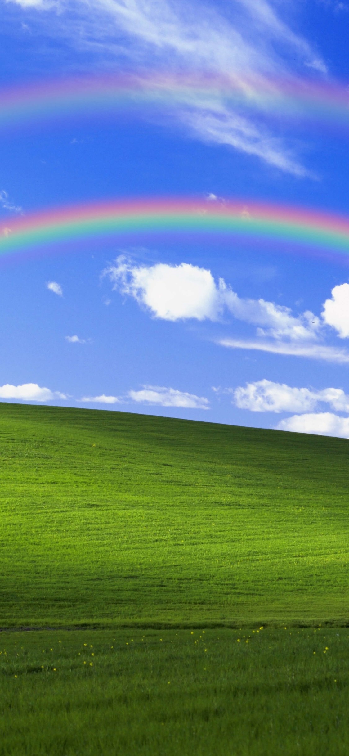 Rainbow Bliss by Michael Gillett | Wallpapers | WallpaperHub