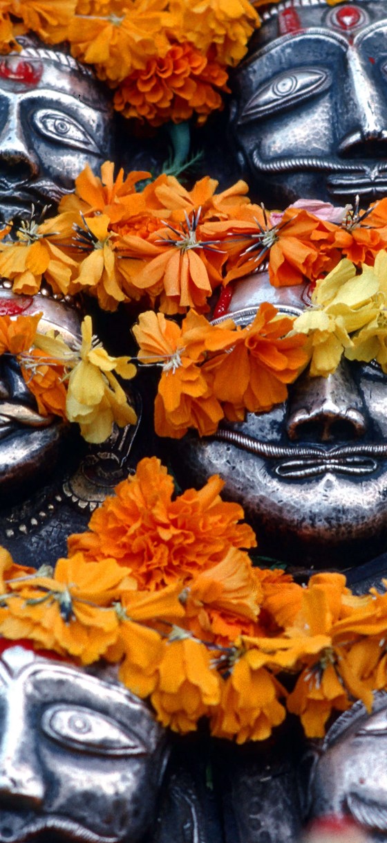 Festivities all across the country by Microsoft | Wallpapers | WallpaperHub