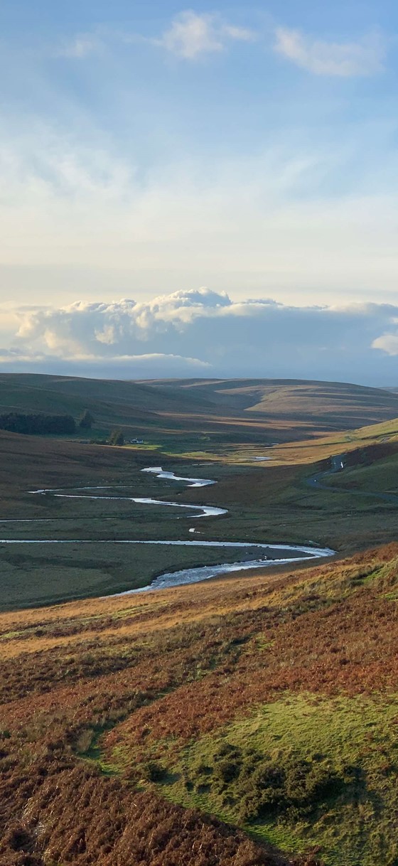 Meander by Michael West | Wallpapers | WallpaperHub