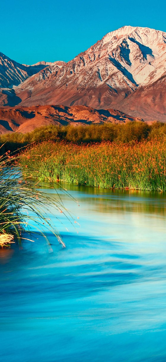 A wild and scenic scene by Microsoft | Wallpapers | WallpaperHub