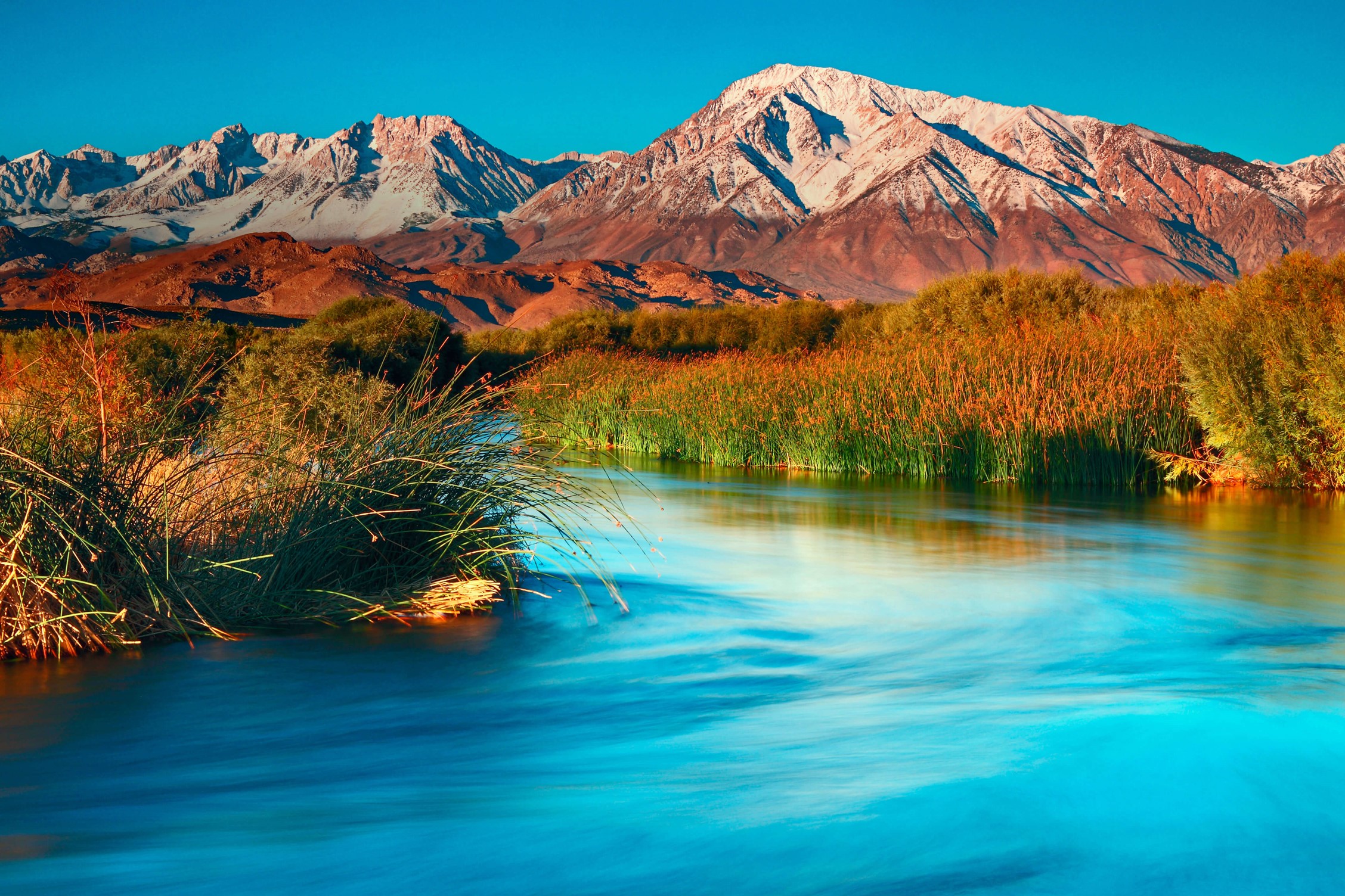 A wild and scenic scene by Microsoft | Wallpapers | WallpaperHub