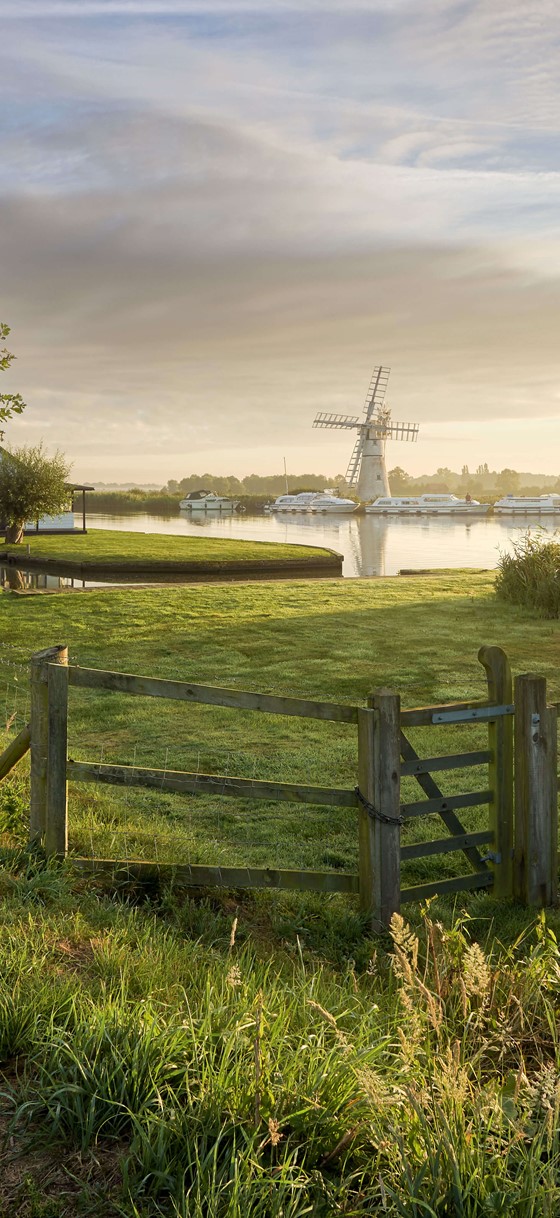 Broad horizons by Microsoft | Wallpapers | WallpaperHub