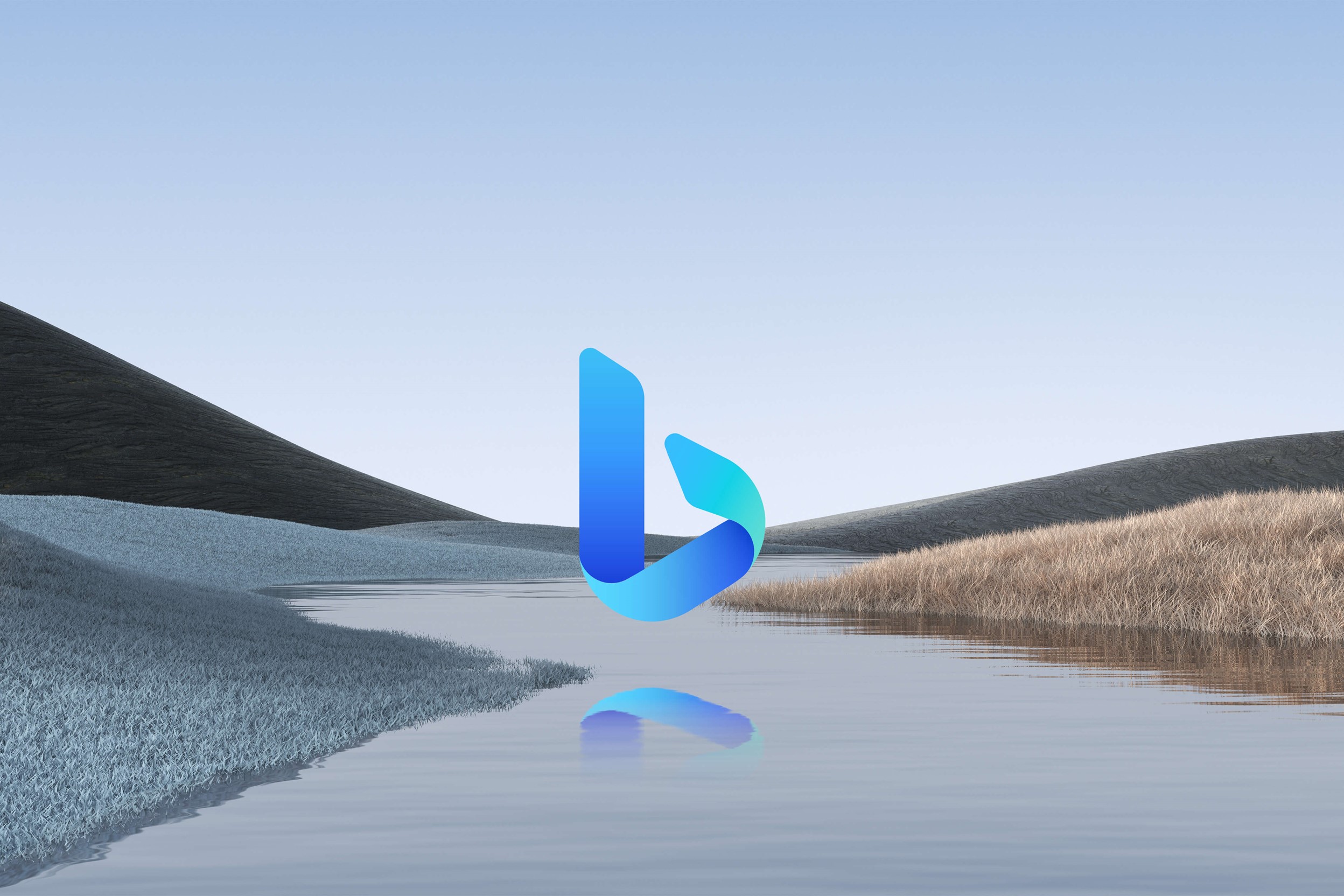 Bing by Michael Gillett | Wallpapers | WallpaperHub