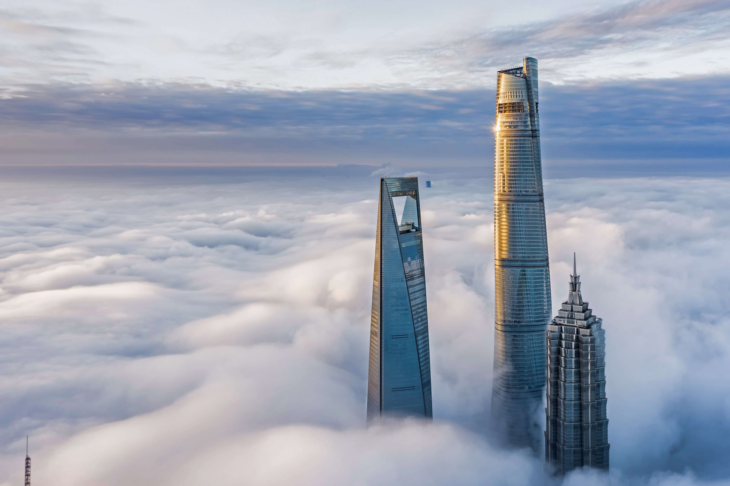 Tall, taller, tallest by Microsoft | Wallpapers | WallpaperHub