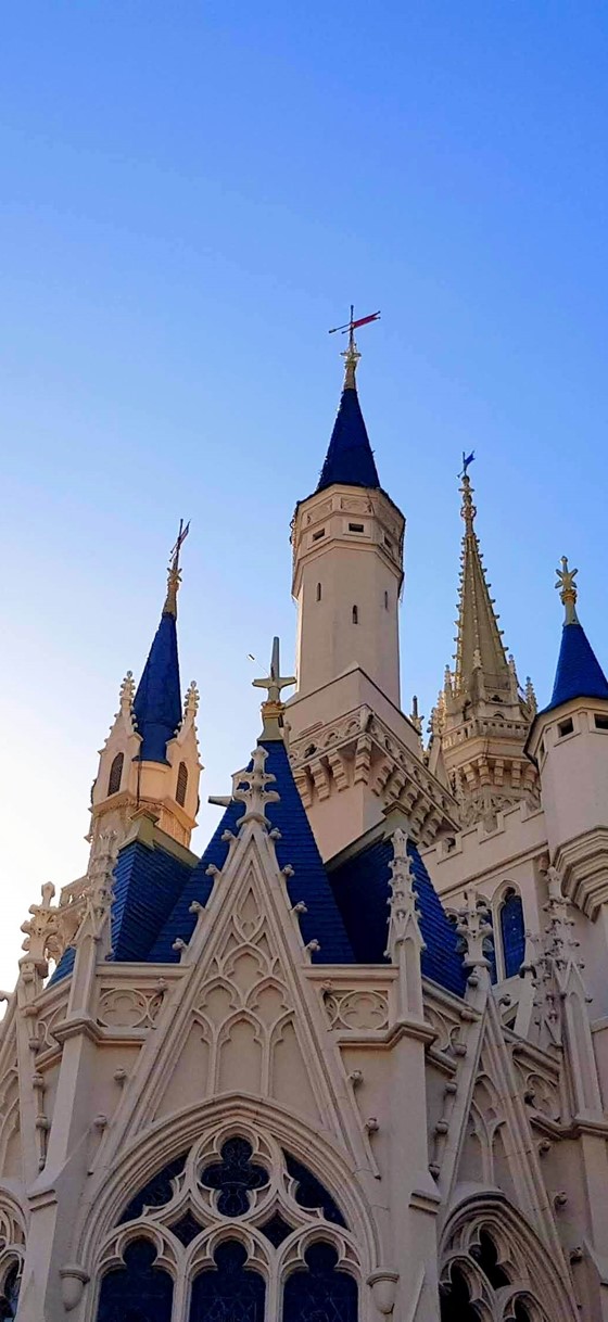 Walt Disney Castle by Michael Gillett | Wallpapers | WallpaperHub