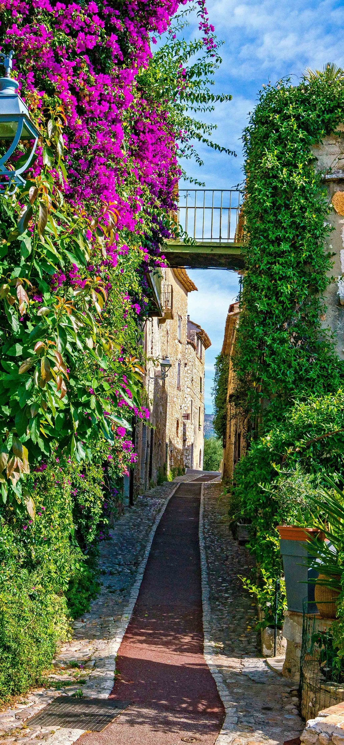 Un art de Provence by Microsoft | Wallpapers | WallpaperHub