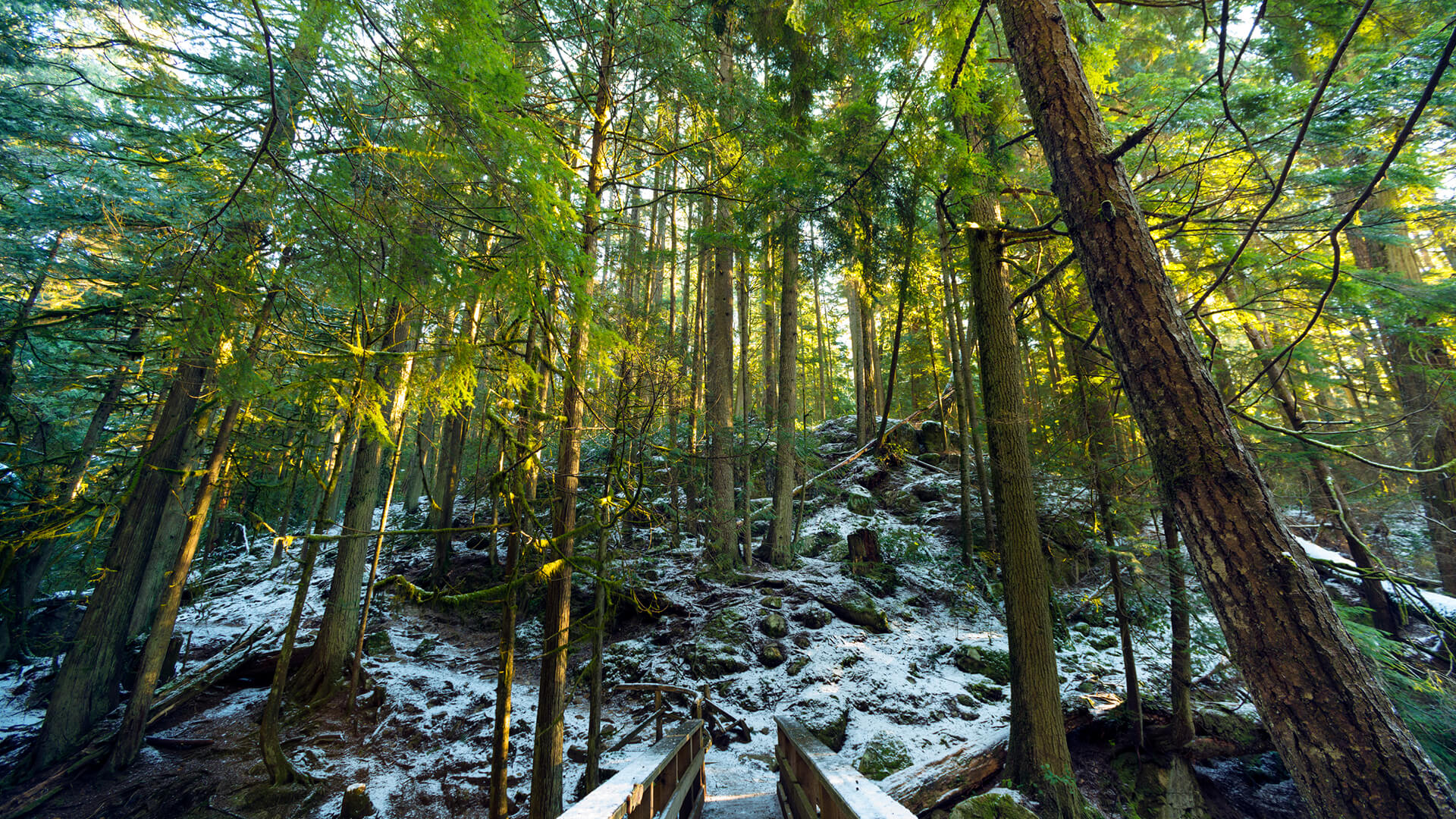 Trails leading to the gateway of nature. by Microsoft | Wallpapers ...