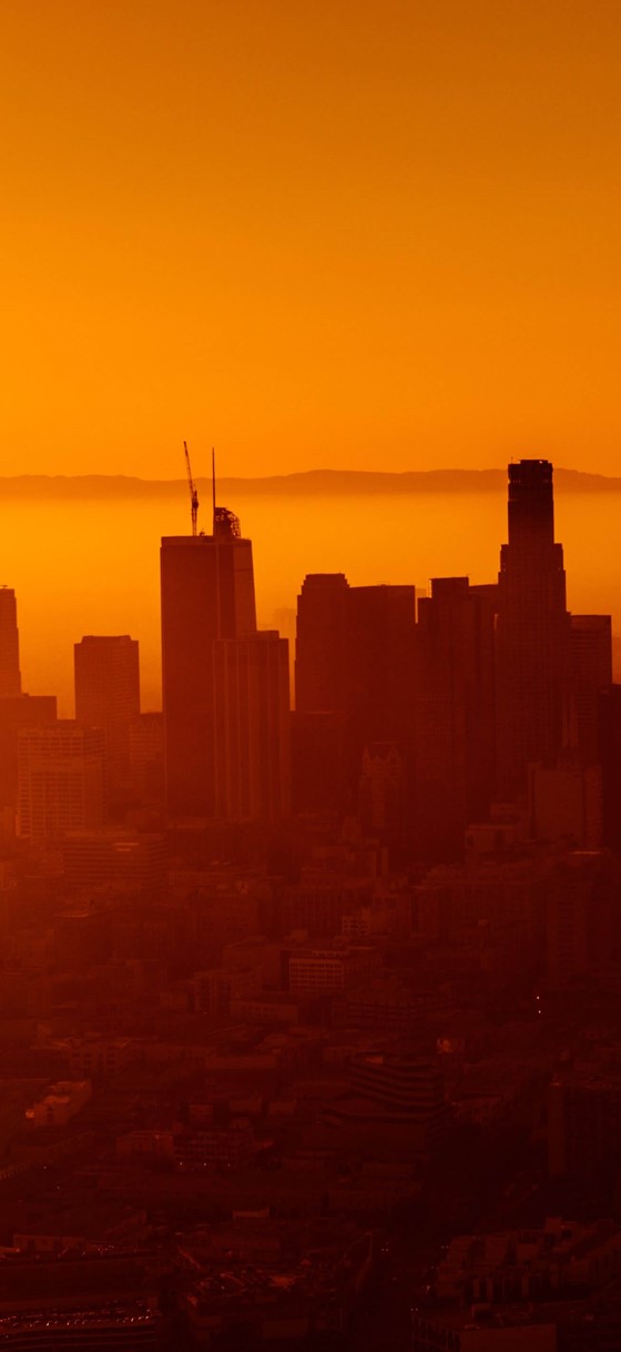 Build 2020 - Cityscape by Microsoft | Wallpapers | WallpaperHub