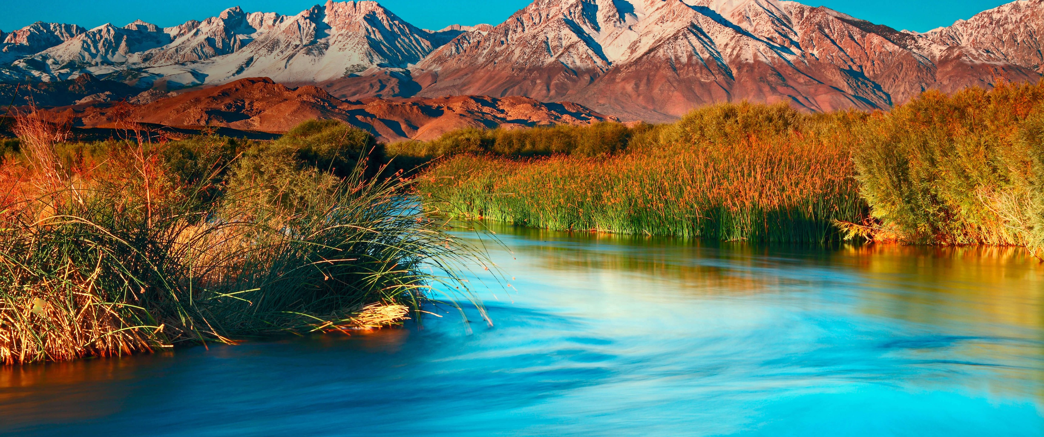 A wild and scenic scene by Microsoft | Wallpapers | WallpaperHub