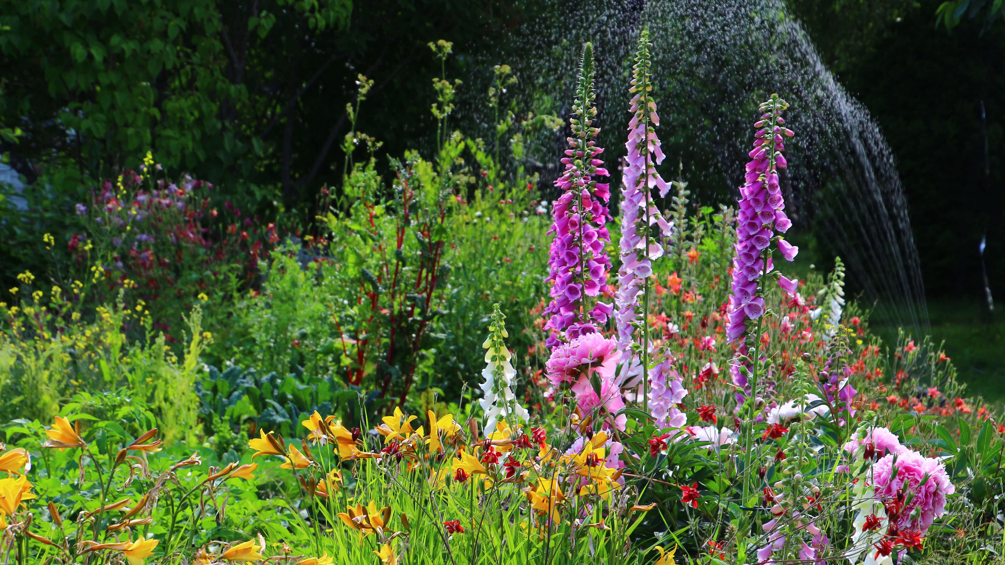 Mulch ado about gardening by Microsoft | Wallpapers | WallpaperHub
