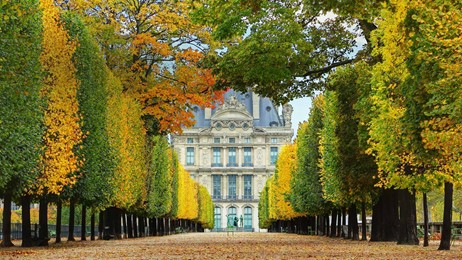 Paris is photo-ready this week by Microsoft | Wallpapers | WallpaperHub