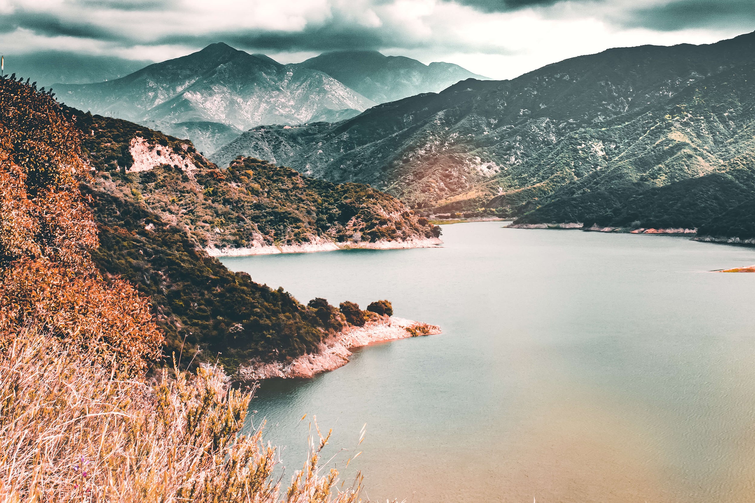 Los Angeles National Park by Shashank Dogra | Wallpapers | WallpaperHub