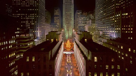 Bright lights, big tree by Microsoft | Wallpapers | WallpaperHub