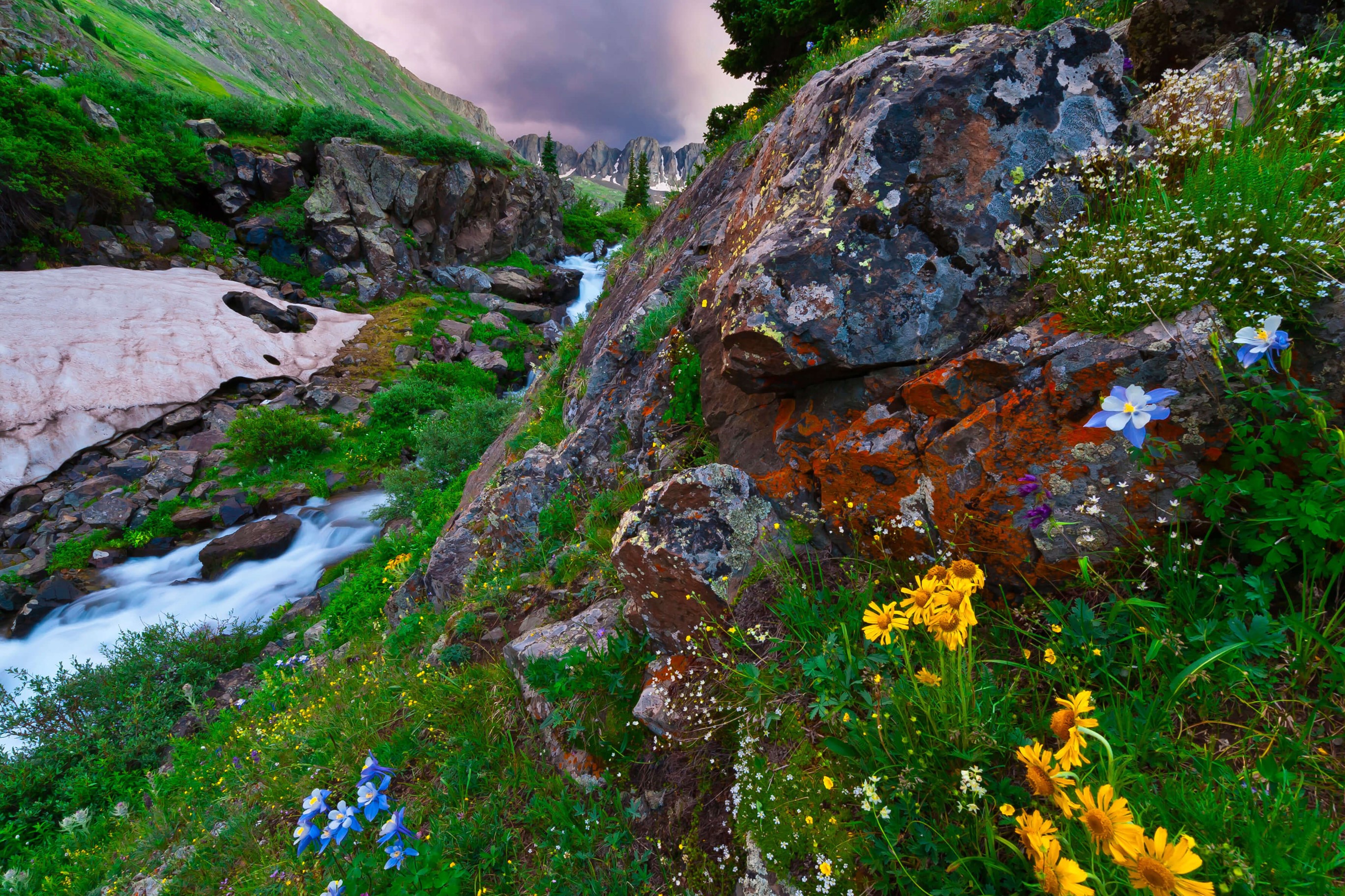 High alpine colour in Colorado, USA by Microsoft | Wallpapers ...