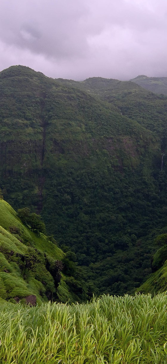 50 shades of green… by Microsoft | Wallpapers | WallpaperHub