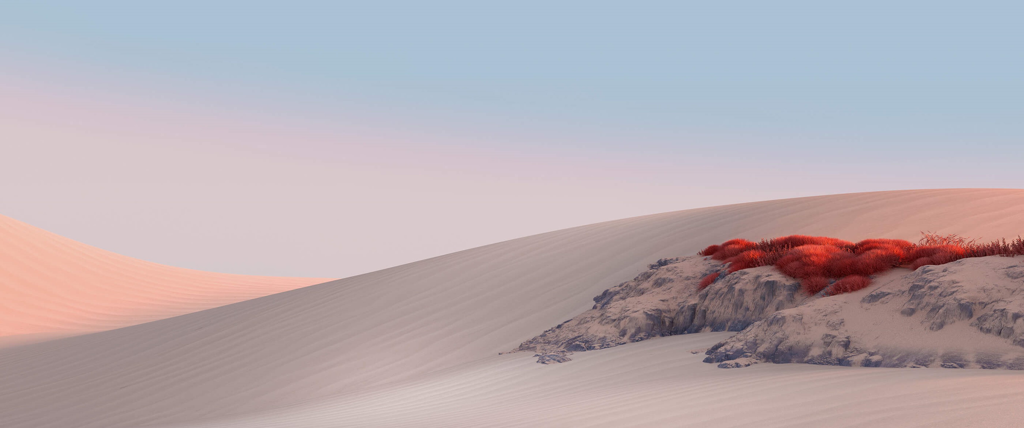 Surface Neo - Surface Go 2 by Microsoft | Wallpapers | WallpaperHub