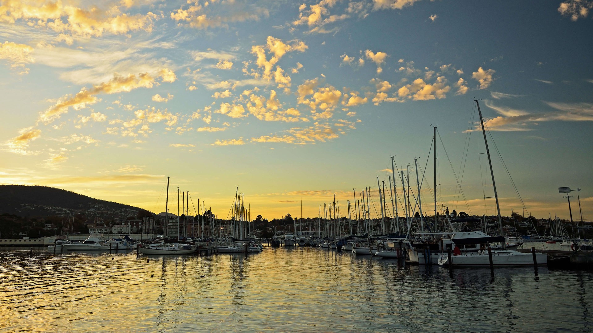 The Royal Hobart Regatta begins by Microsoft | Wallpapers | WallpaperHub