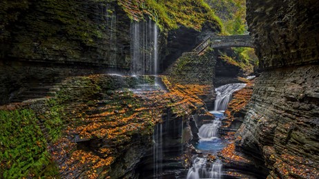 Wandering Watkins Glen by Microsoft | Wallpapers | WallpaperHub