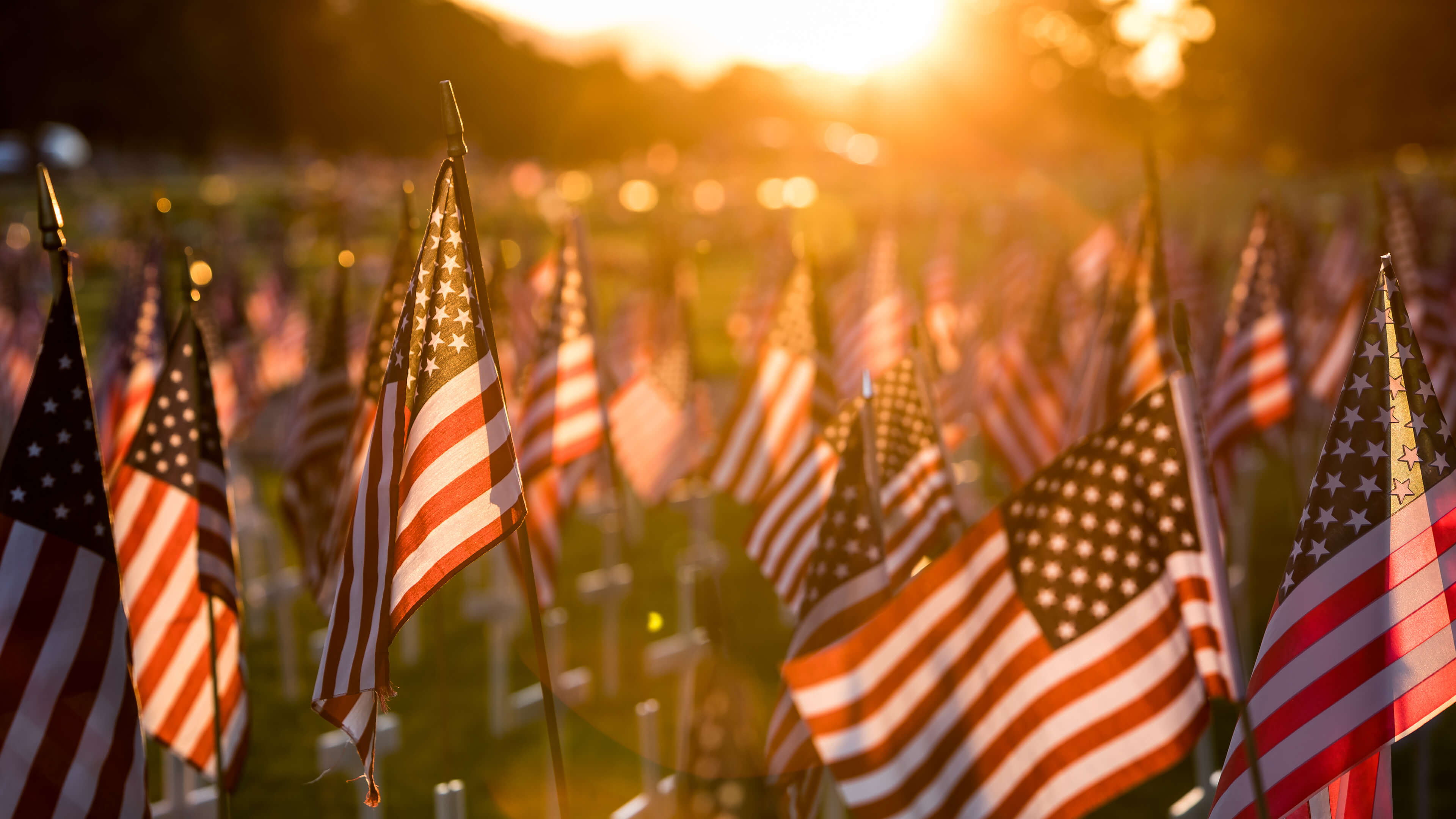 Memorial Day by Microsoft | Wallpapers | WallpaperHub