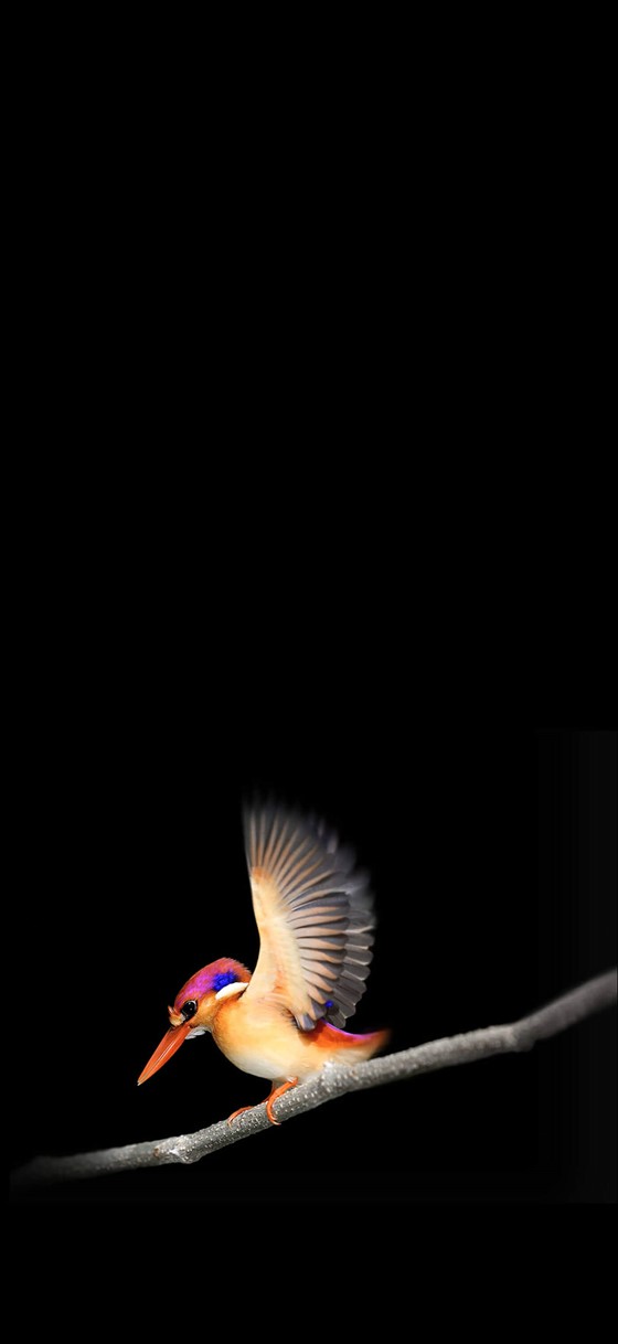 Surface Go by Microsoft | Wallpapers | WallpaperHub