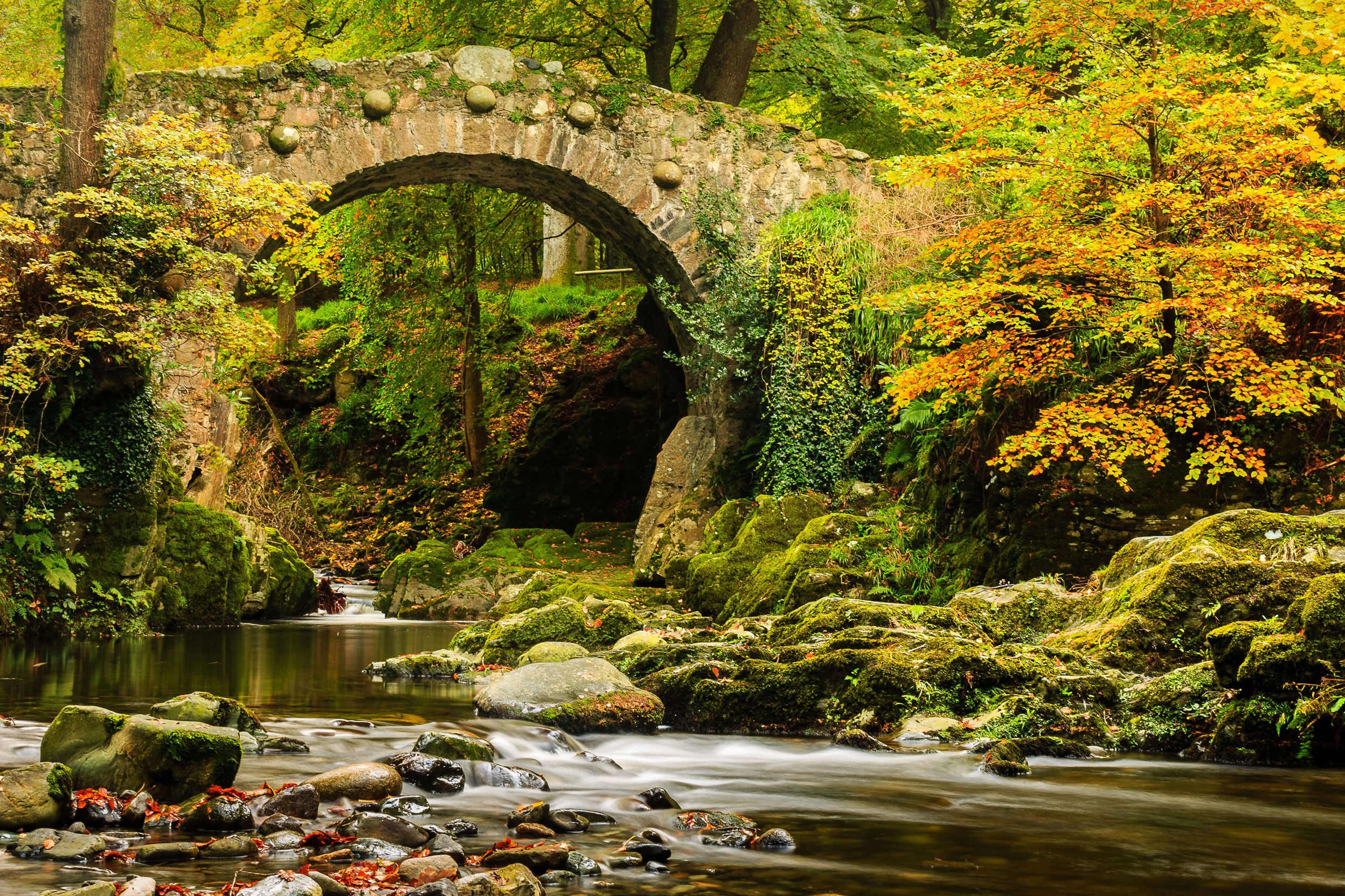 A fantastical forest park by Microsoft | Wallpapers | WallpaperHub