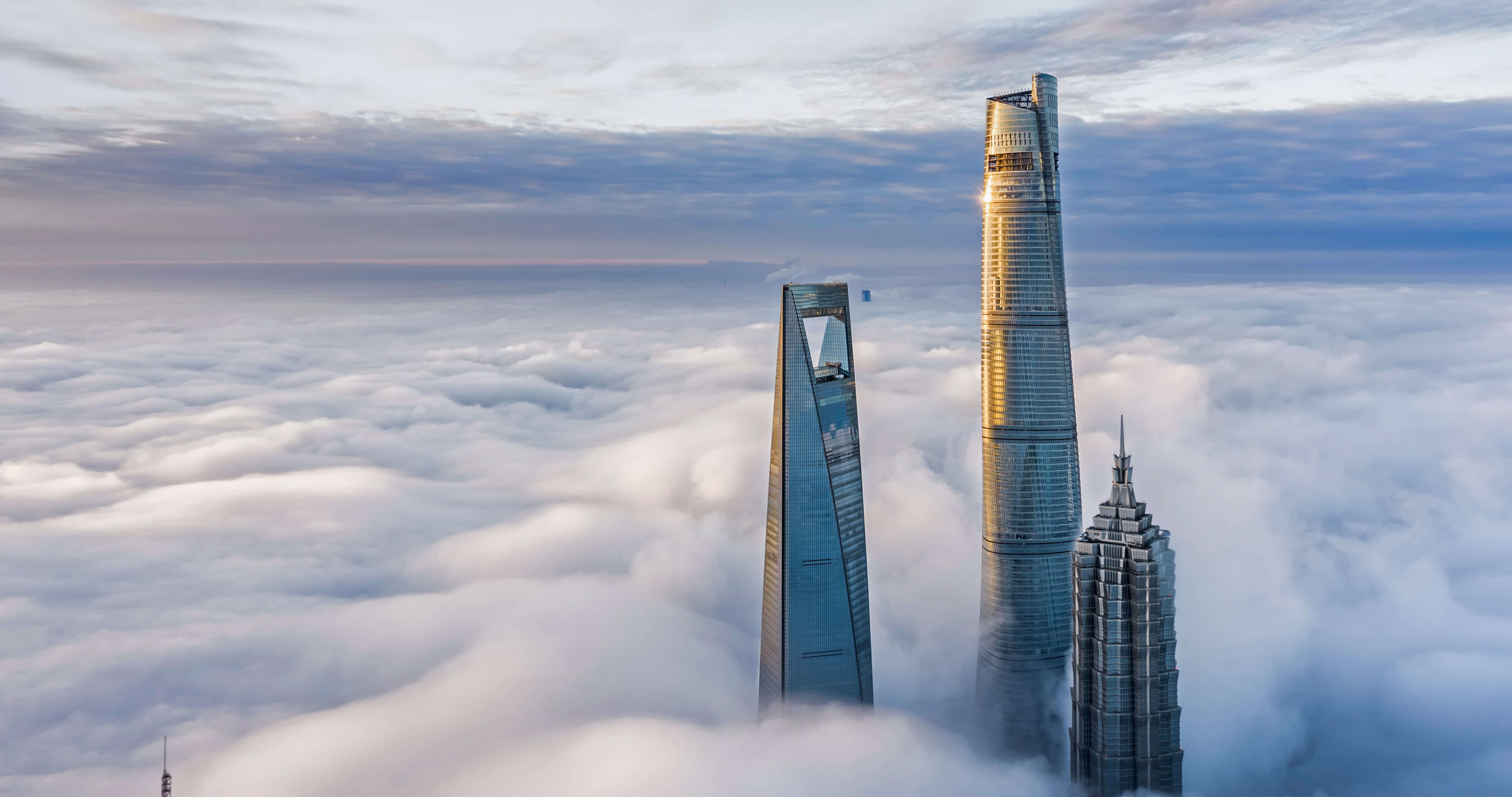 Tall, taller, tallest by Microsoft | Wallpapers | WallpaperHub