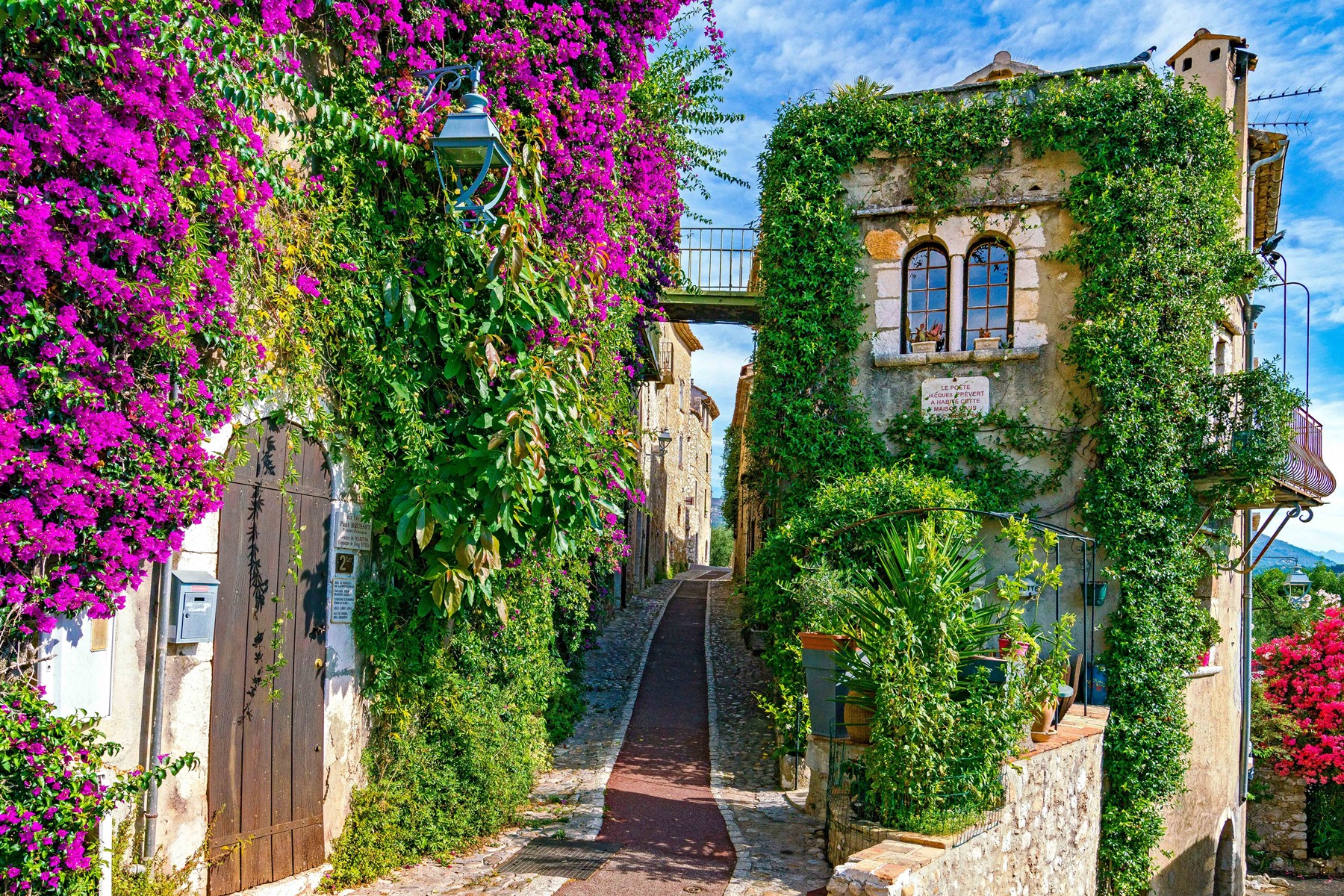 Un art de Provence by Microsoft | Wallpapers | WallpaperHub